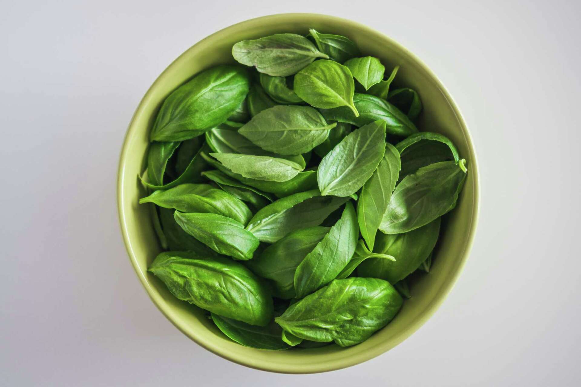 How to Repot Store-Bought Basil