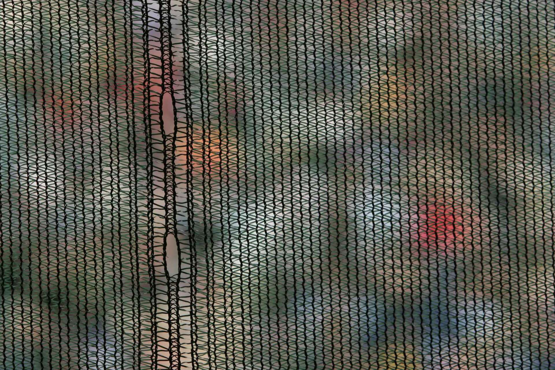 How to Re-Screen & Cat-Proof Window Screens