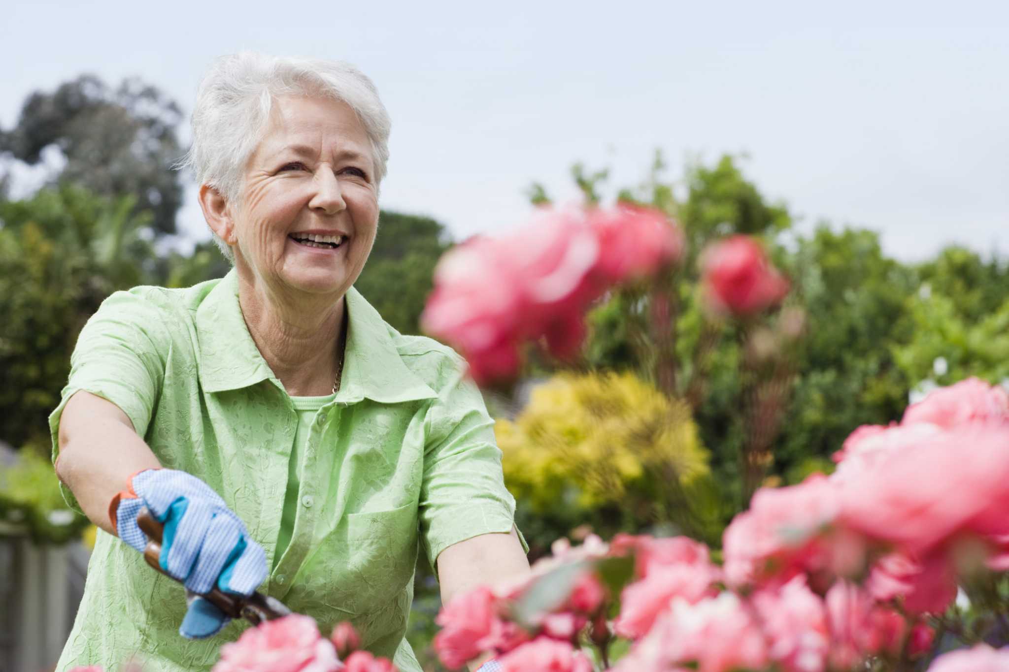 What Kind of Nails to Use for Landscape Timbers?