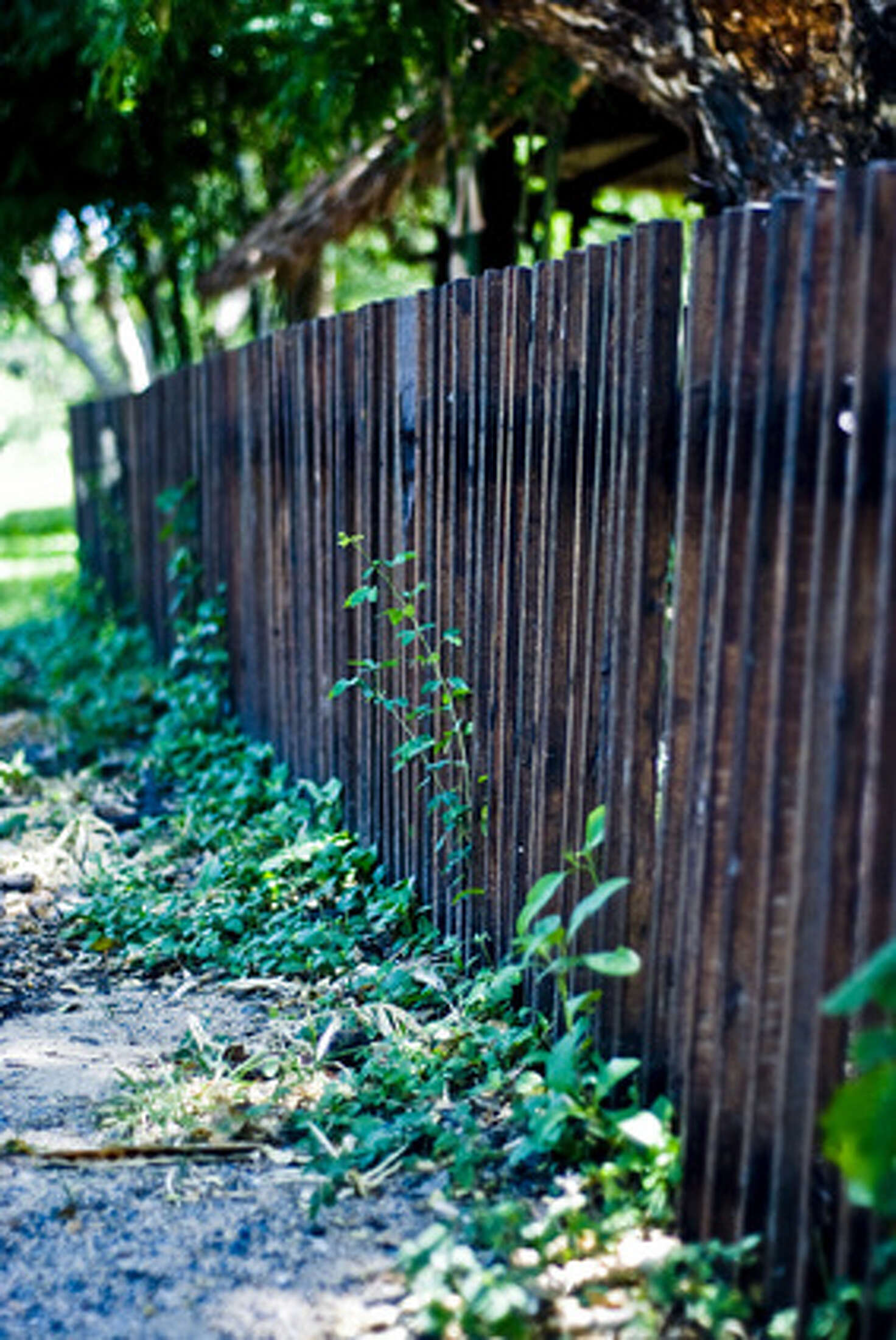 Residential Zoning Laws for Fences