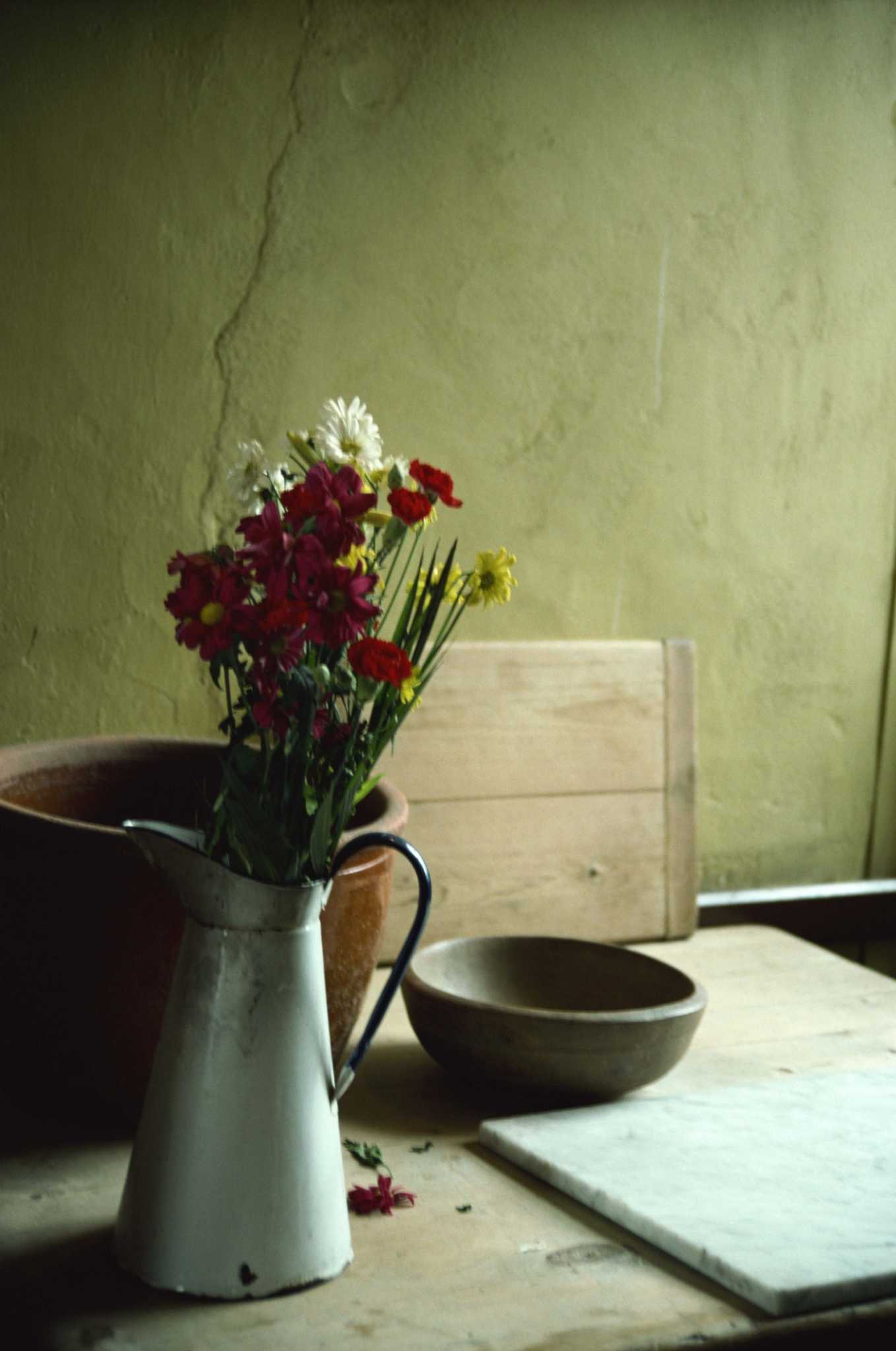 Kitchen Color Ideas With Venetian Plaster