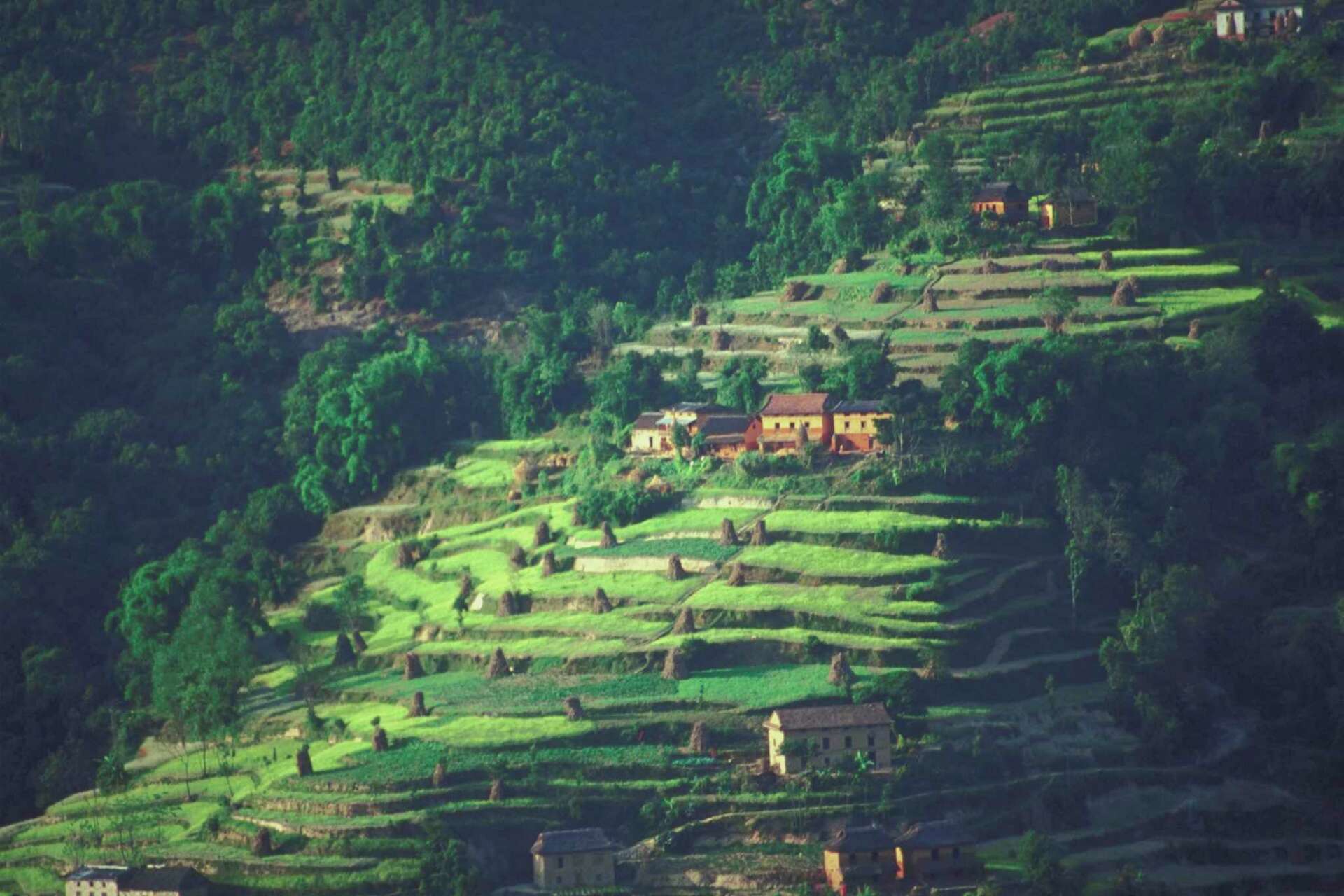 How to Do Landscape Terracing