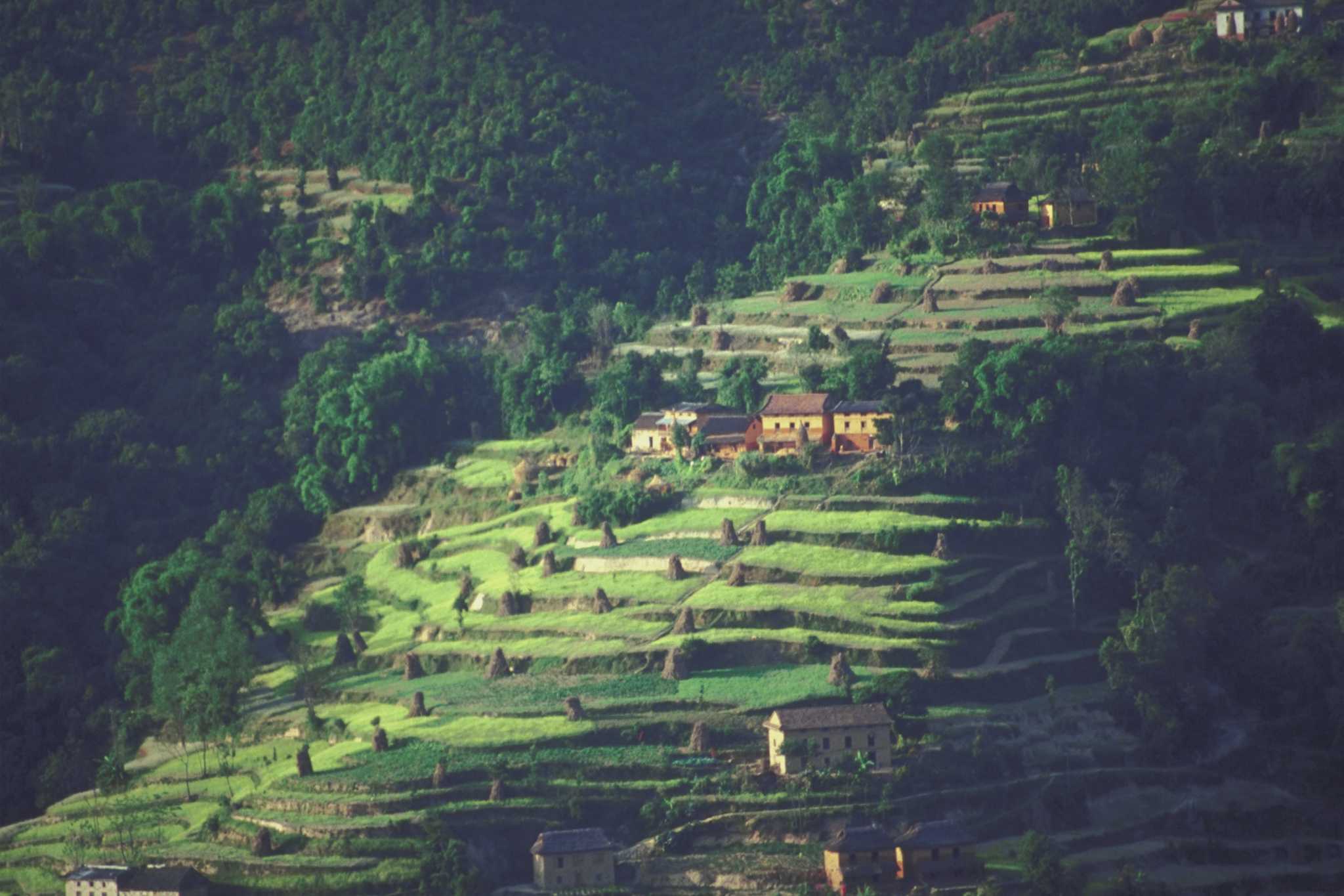 How to Do Landscape Terracing