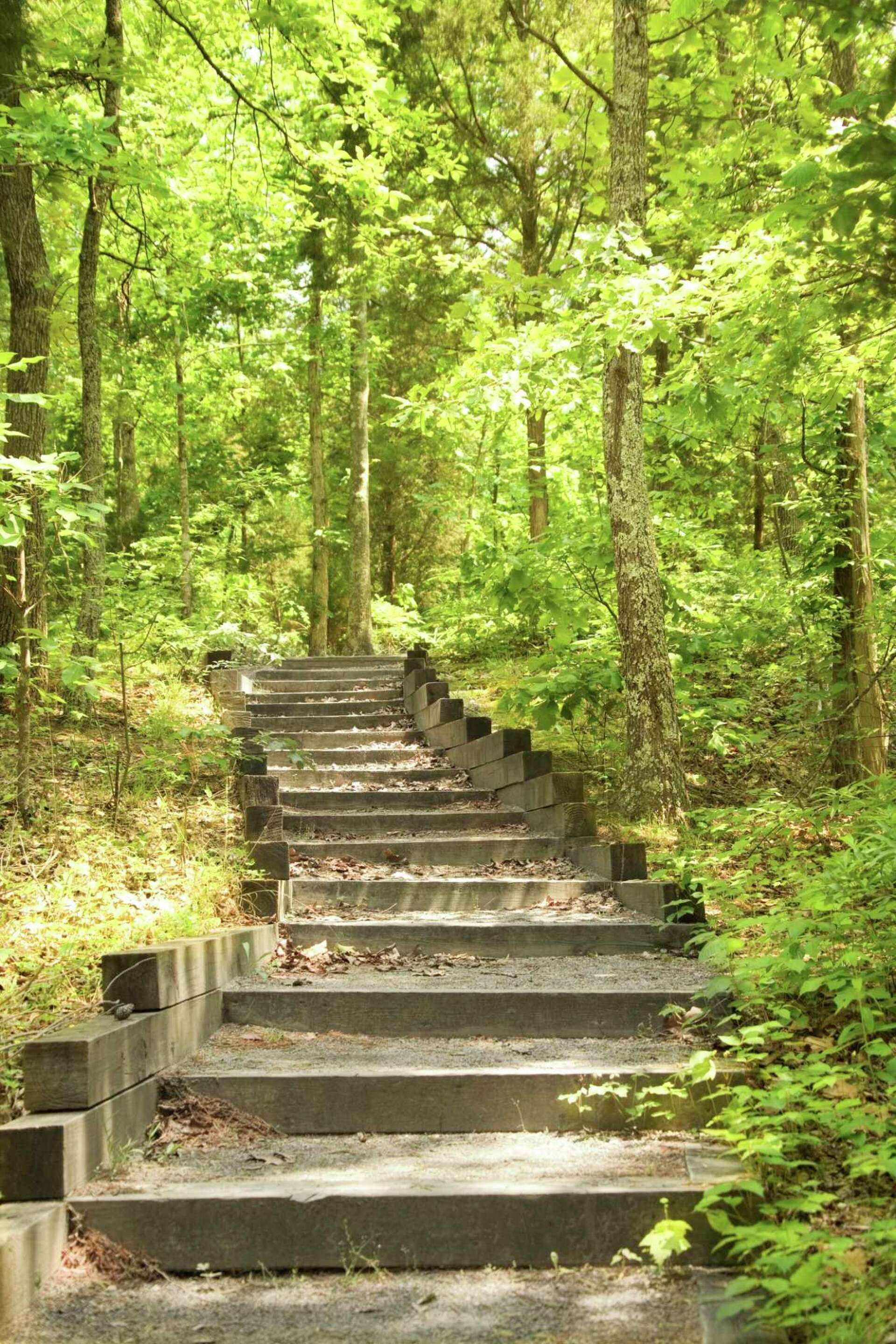 How to Landscape Timber Steps