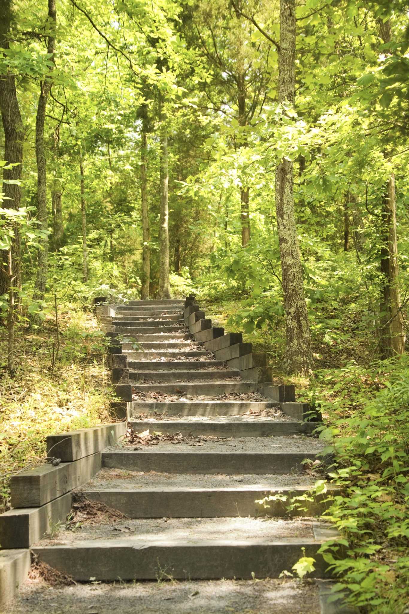 How to Landscape Timber Steps