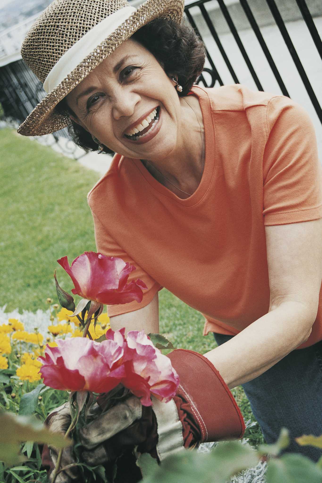 How to Get Rid of Rose Bugs Without Killing Bees