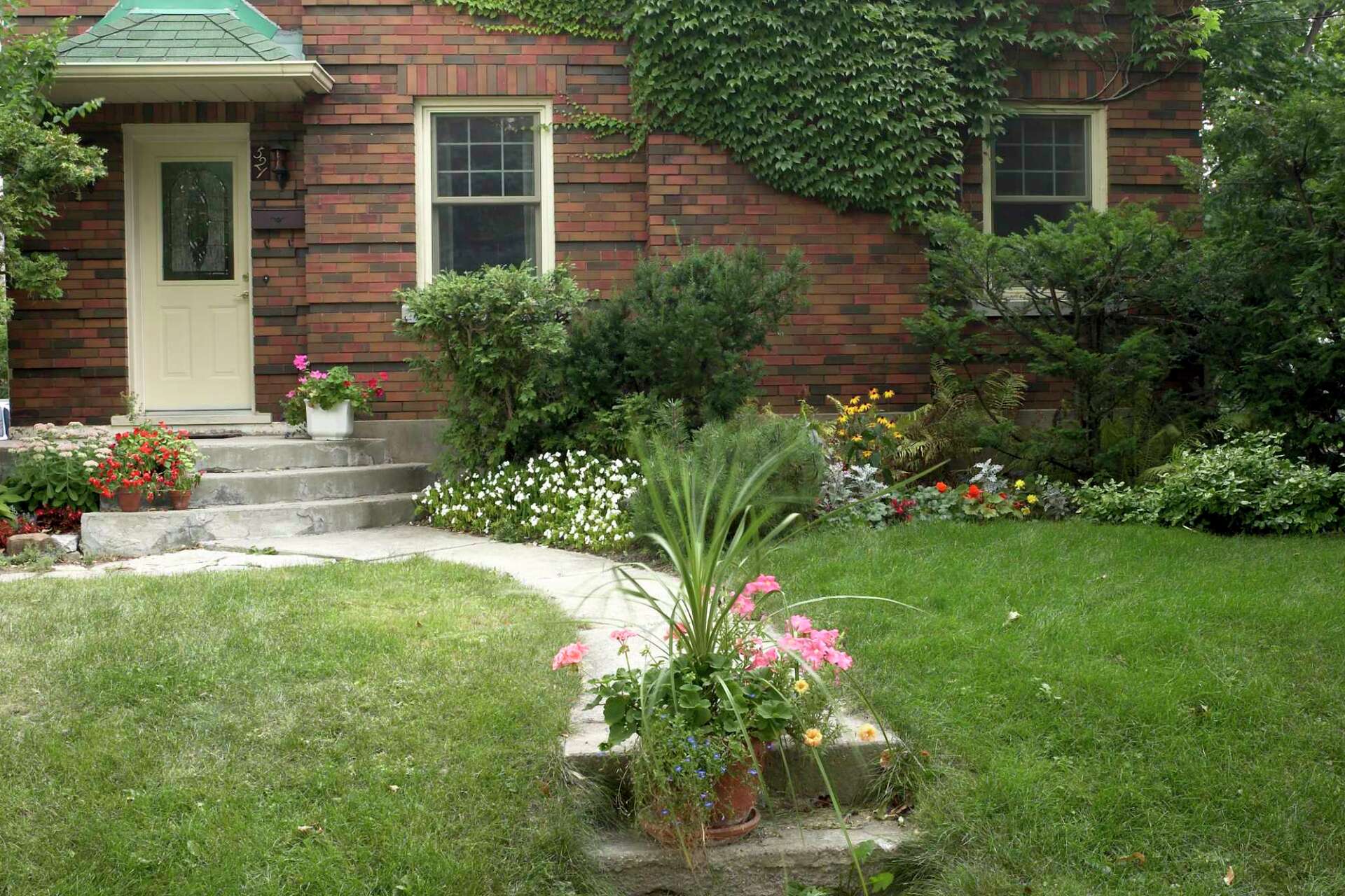 Lawn Problems & Watering at Night