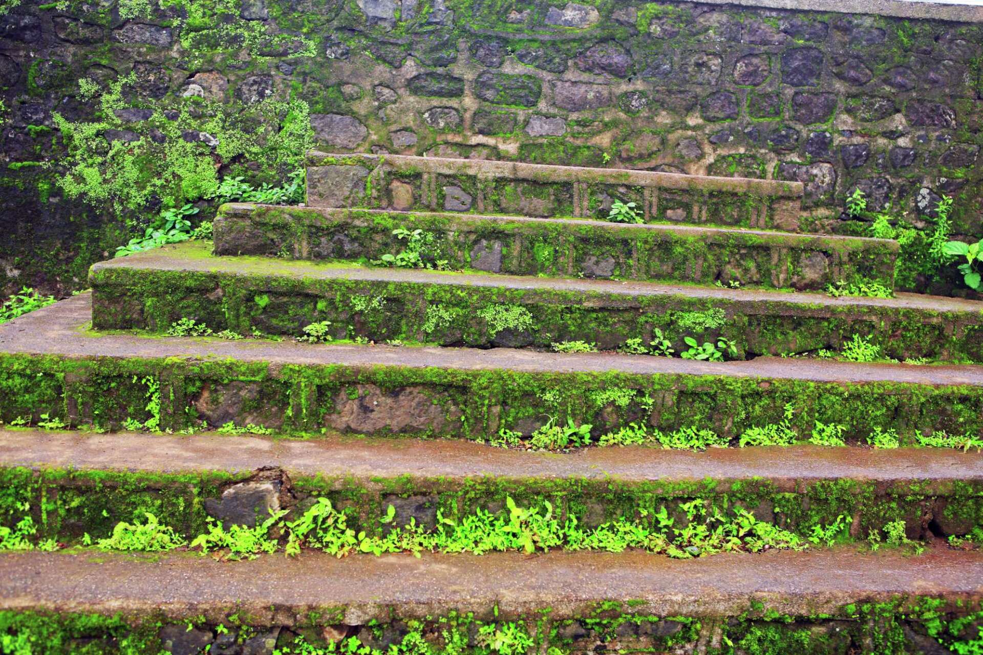 How to Rid Stairs of Moss