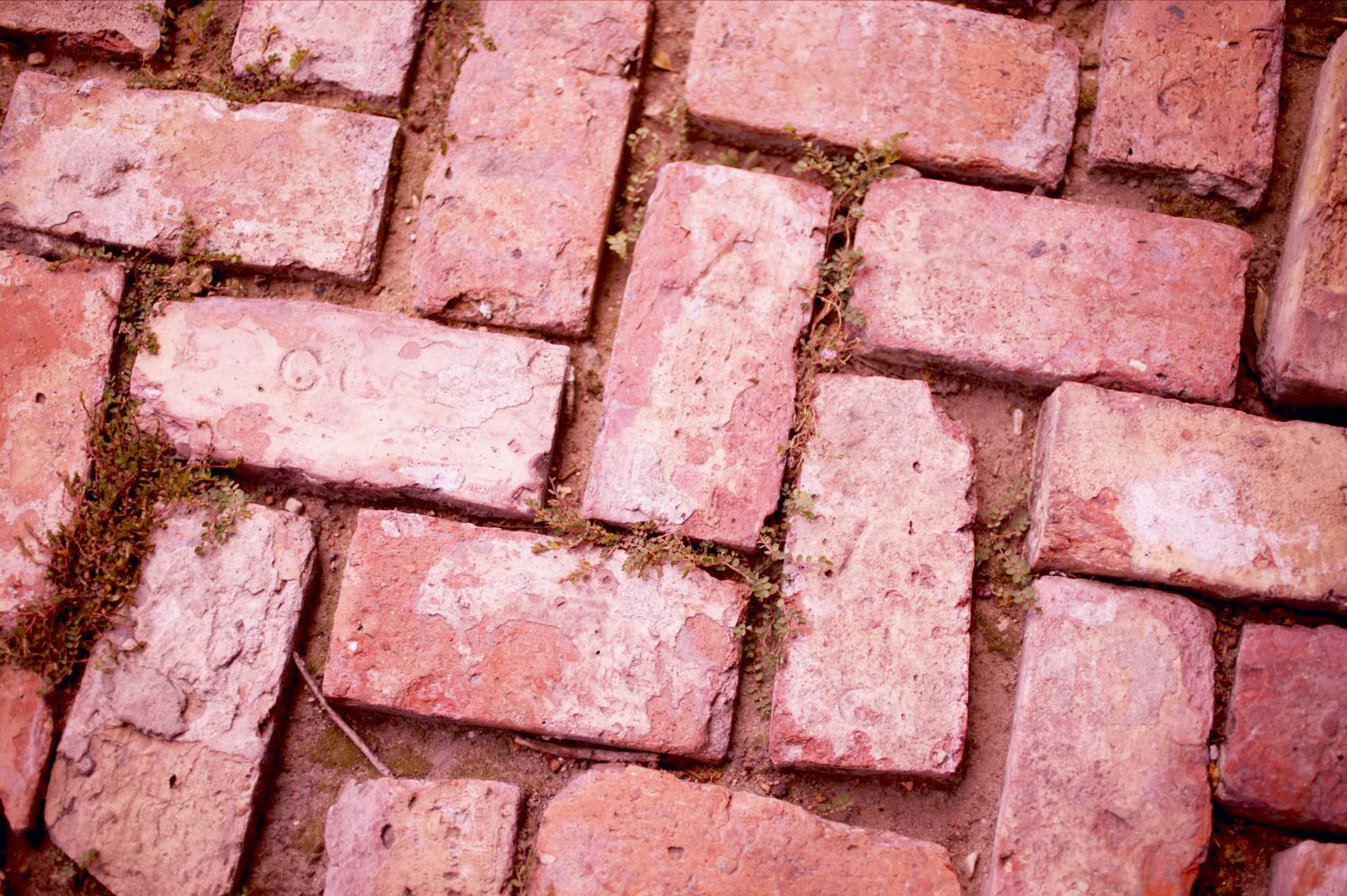 Rock Dust vs. Sand Under Paving