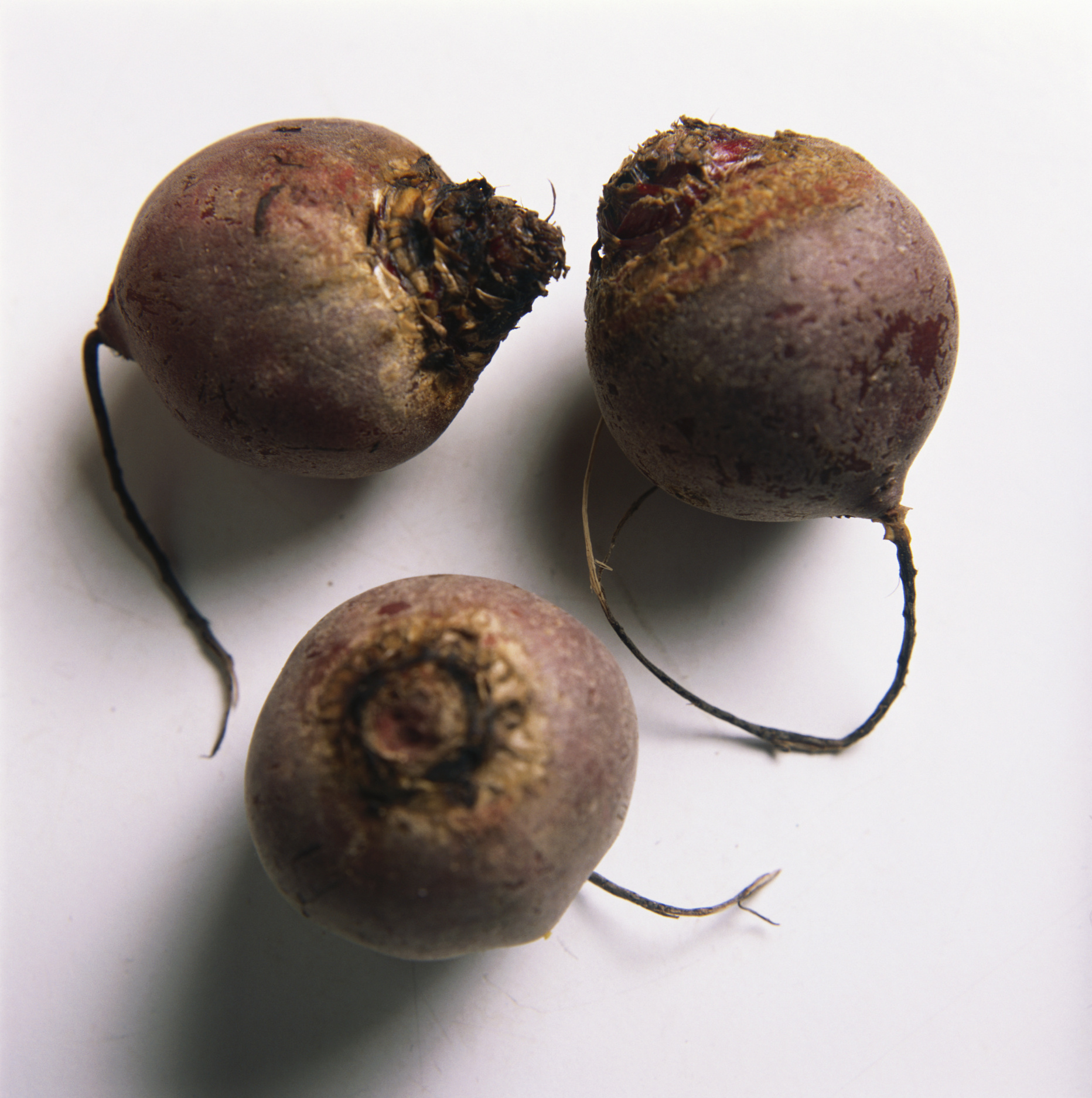 Root Bugs in Beets