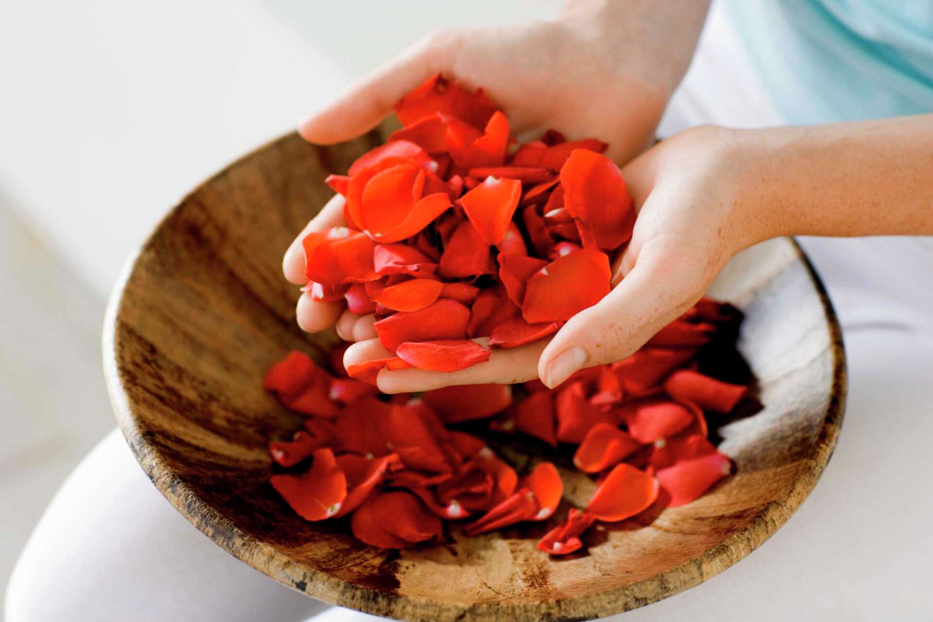 Facts About Rose Petals