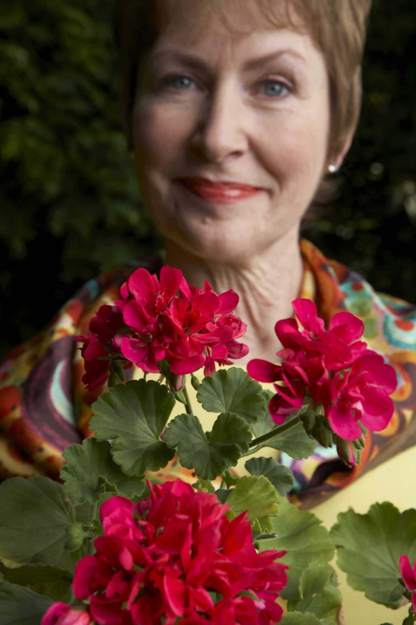 What to Do With Leggy Geraniums