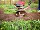 How to Rototill a Lawn