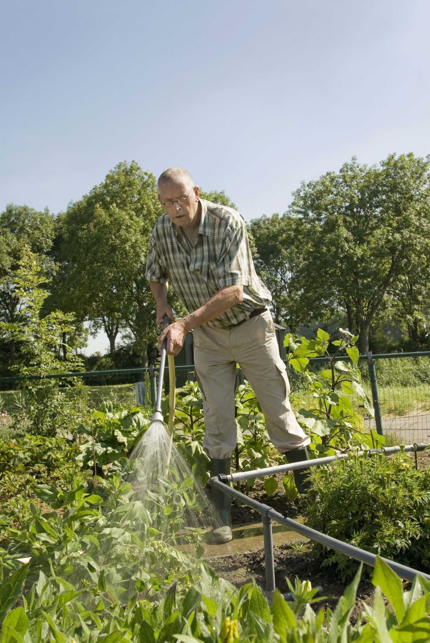 Roundup Spray Information