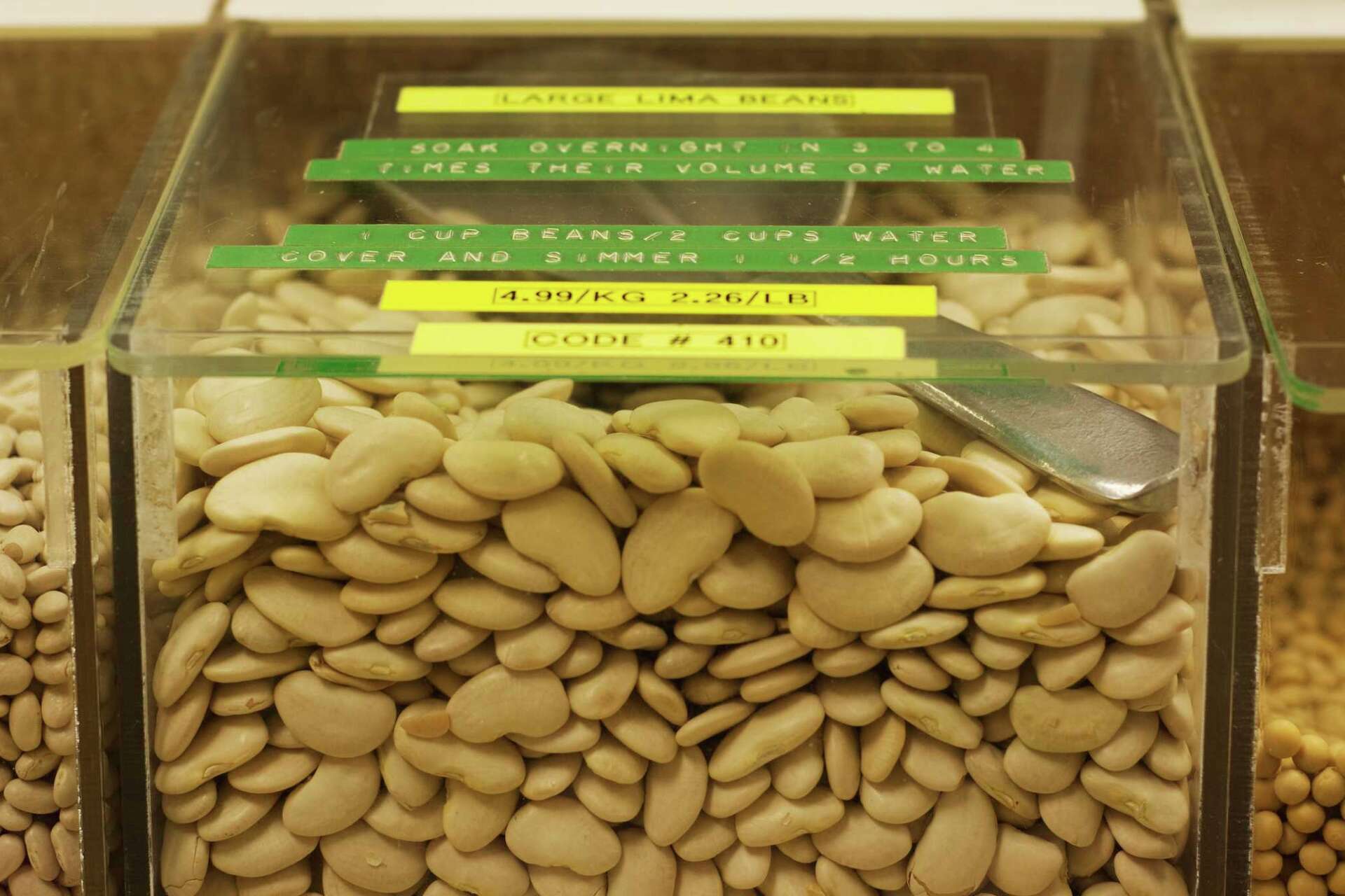 The Life Cycle of a Lima Bean Plant