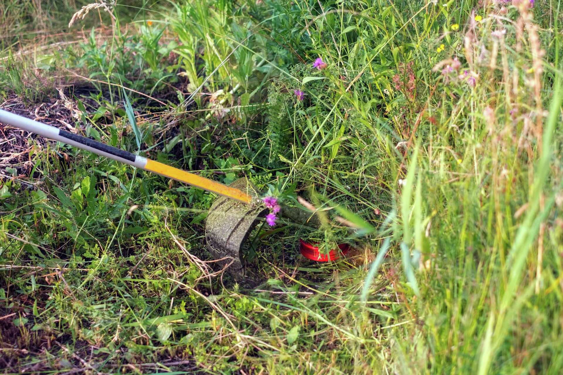 My Ryobi CS26 Won't Start