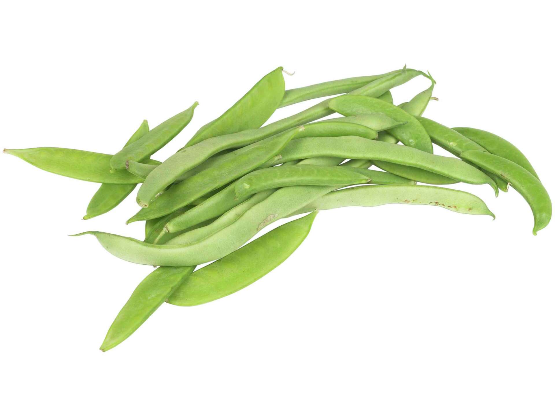 Which Produces More: Pole Limas or Bush Limas?