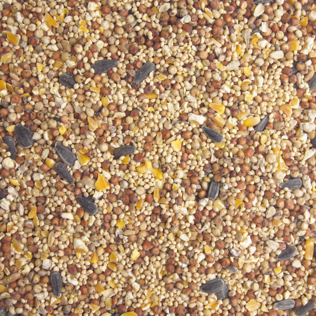 Why Is Sand Needed to Plant Tiny Seeds?