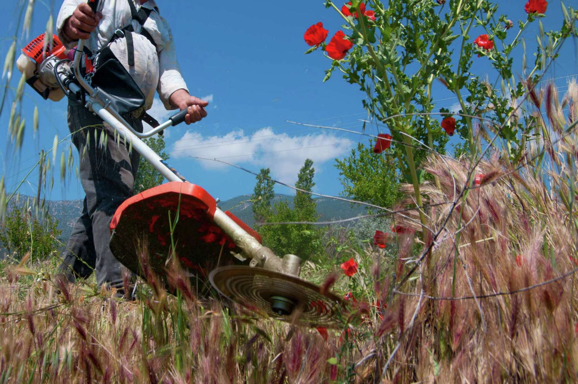 How to Load String on a Ryobi Weed Wacker