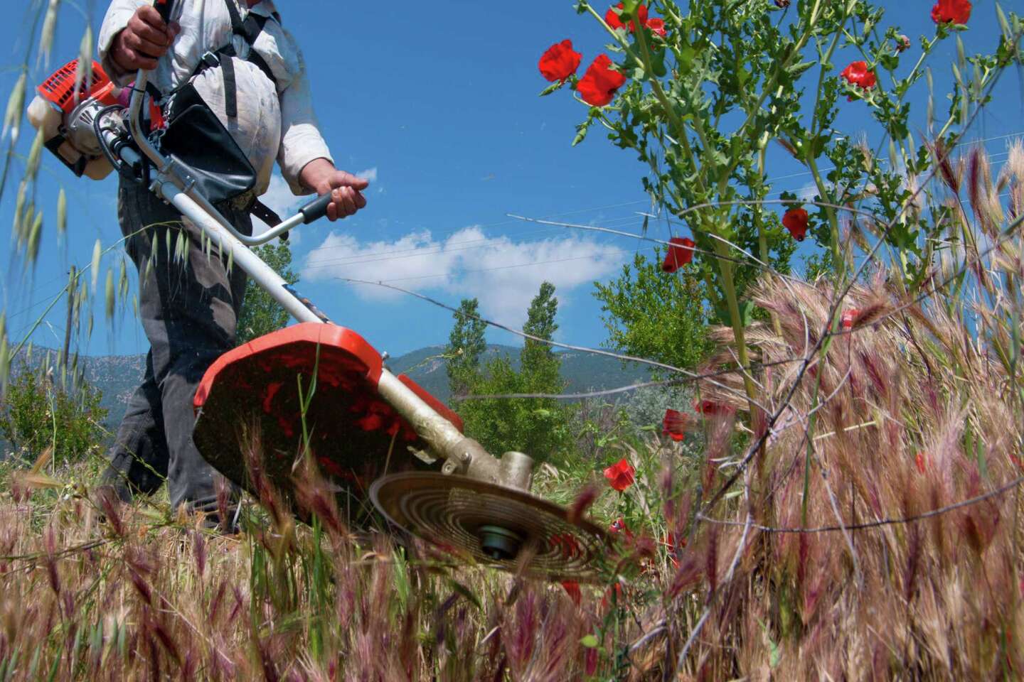 How to Load String on a Ryobi Weed Wacker