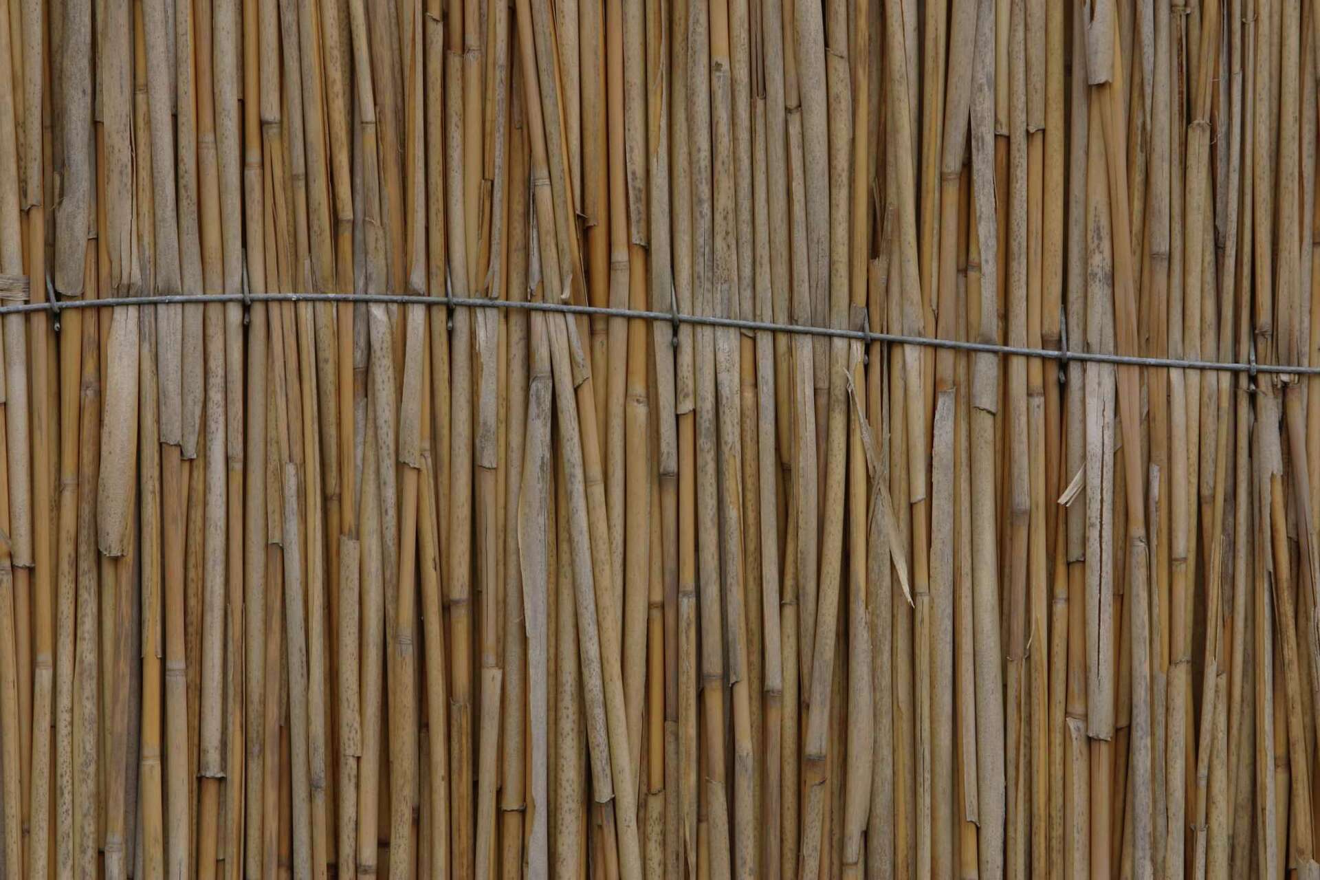 How Long Does a Reed Fence Last?