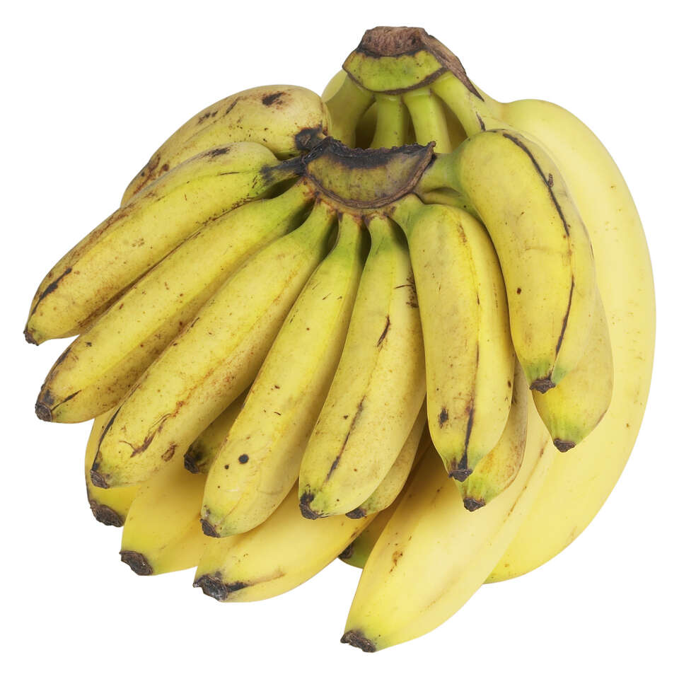 How Long Does It Take for a Super Dwarf Cavendish to Flower?