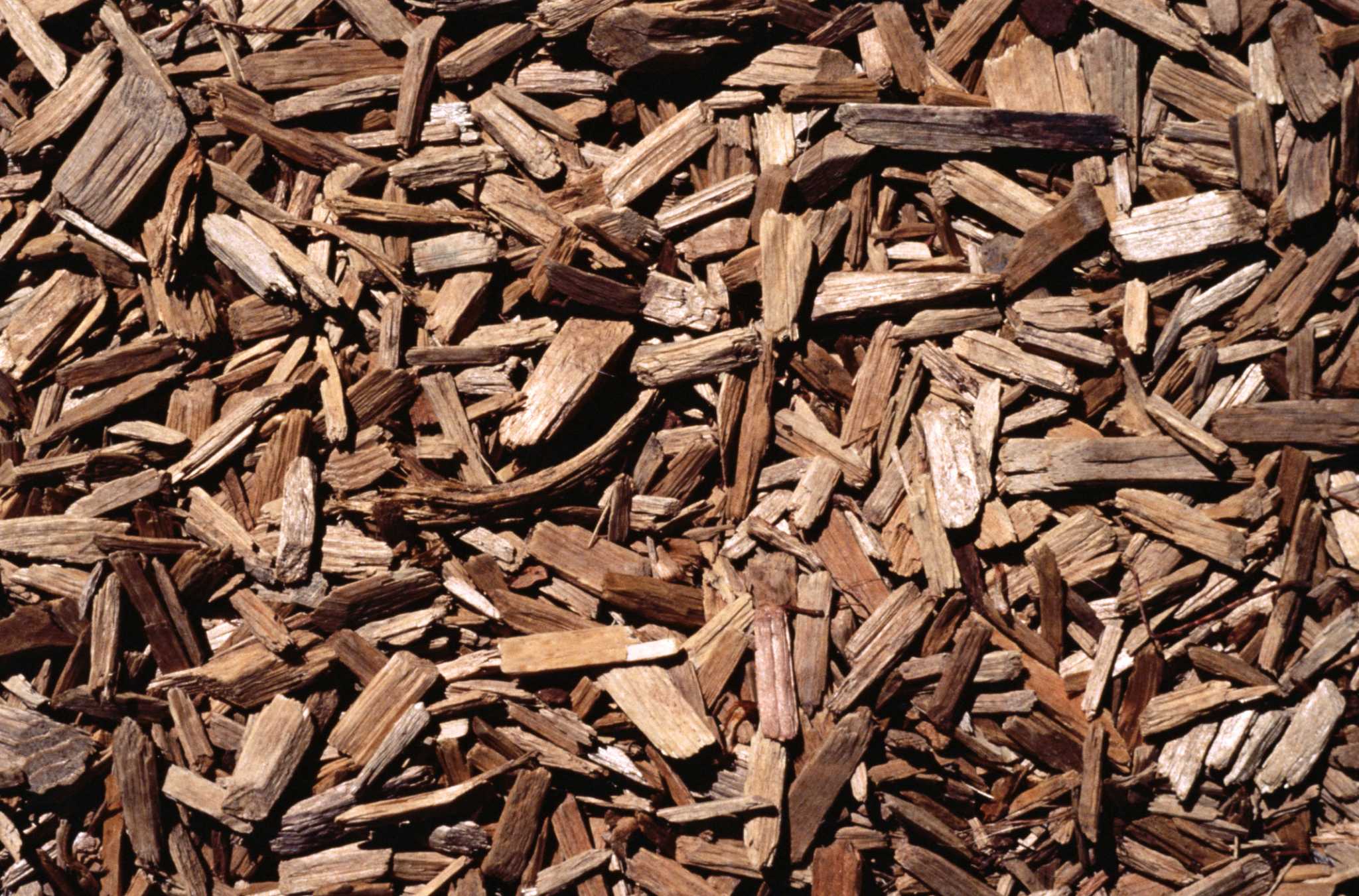 Long-Term Effects of Wood Chips on Vegetable Growth