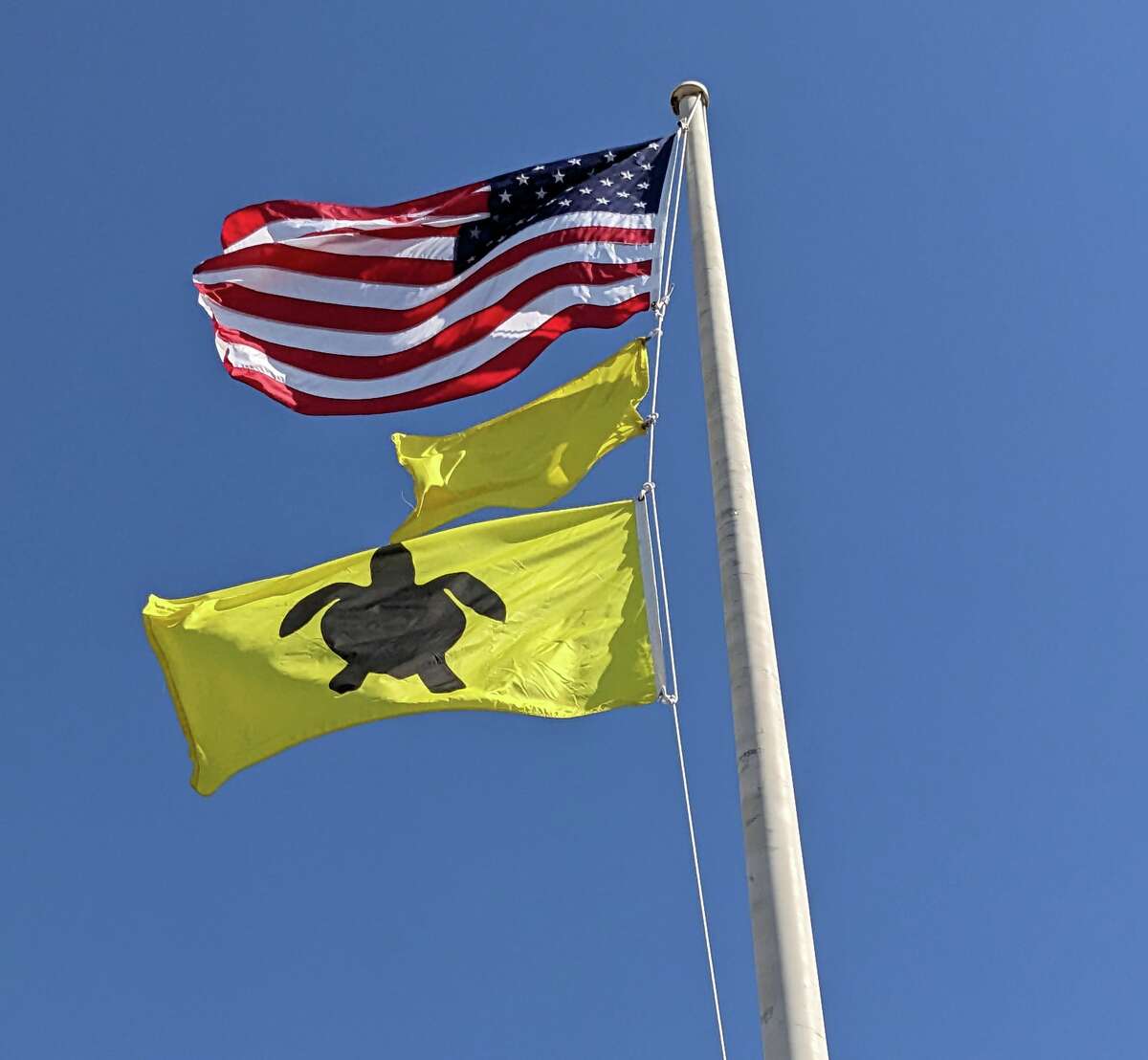 Why red lollipop stakes are popping up on Texas beaches