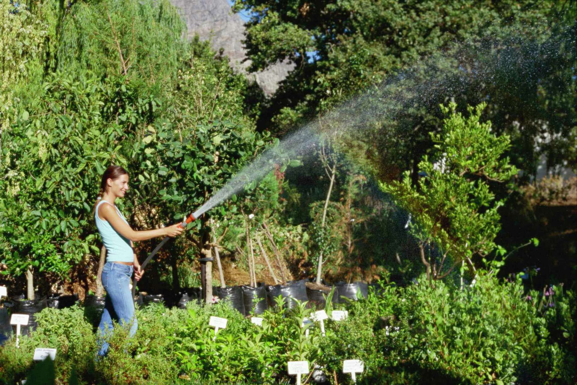 Low-Pressure Watering for Landscapes