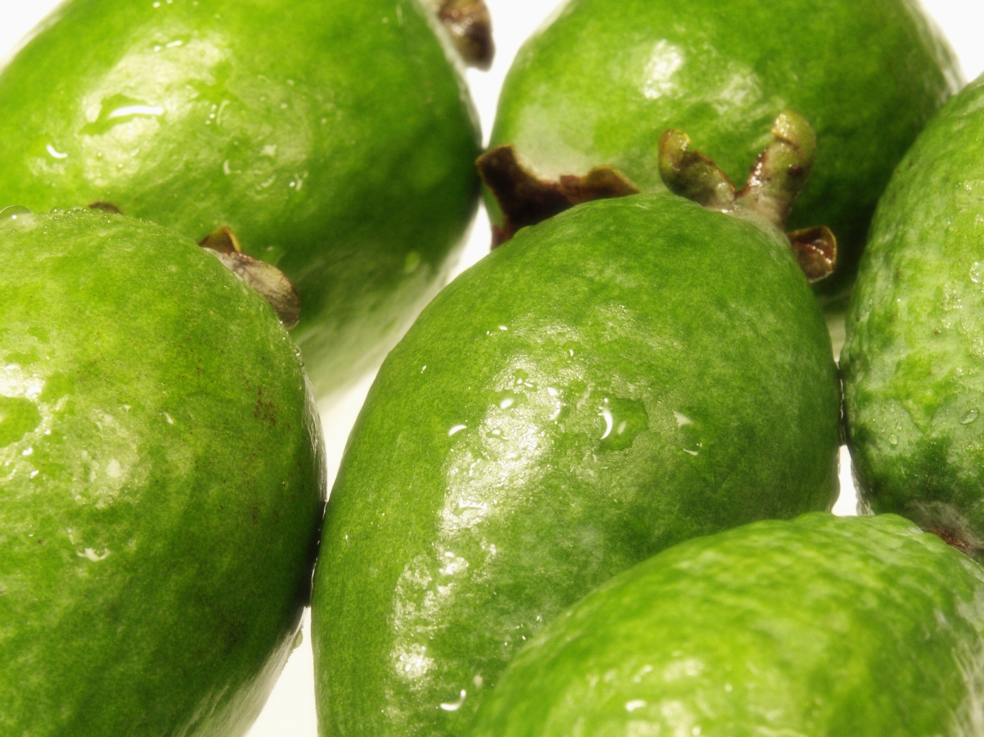 How to Shape a Guava Tree