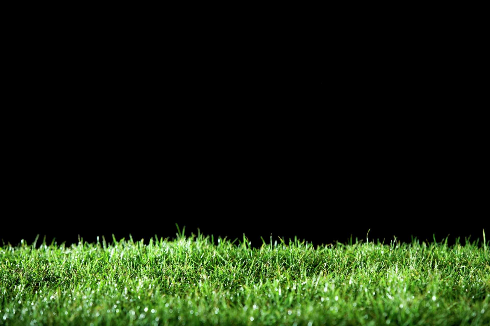 How Often Should You Apply Sulfur to a Lawn?