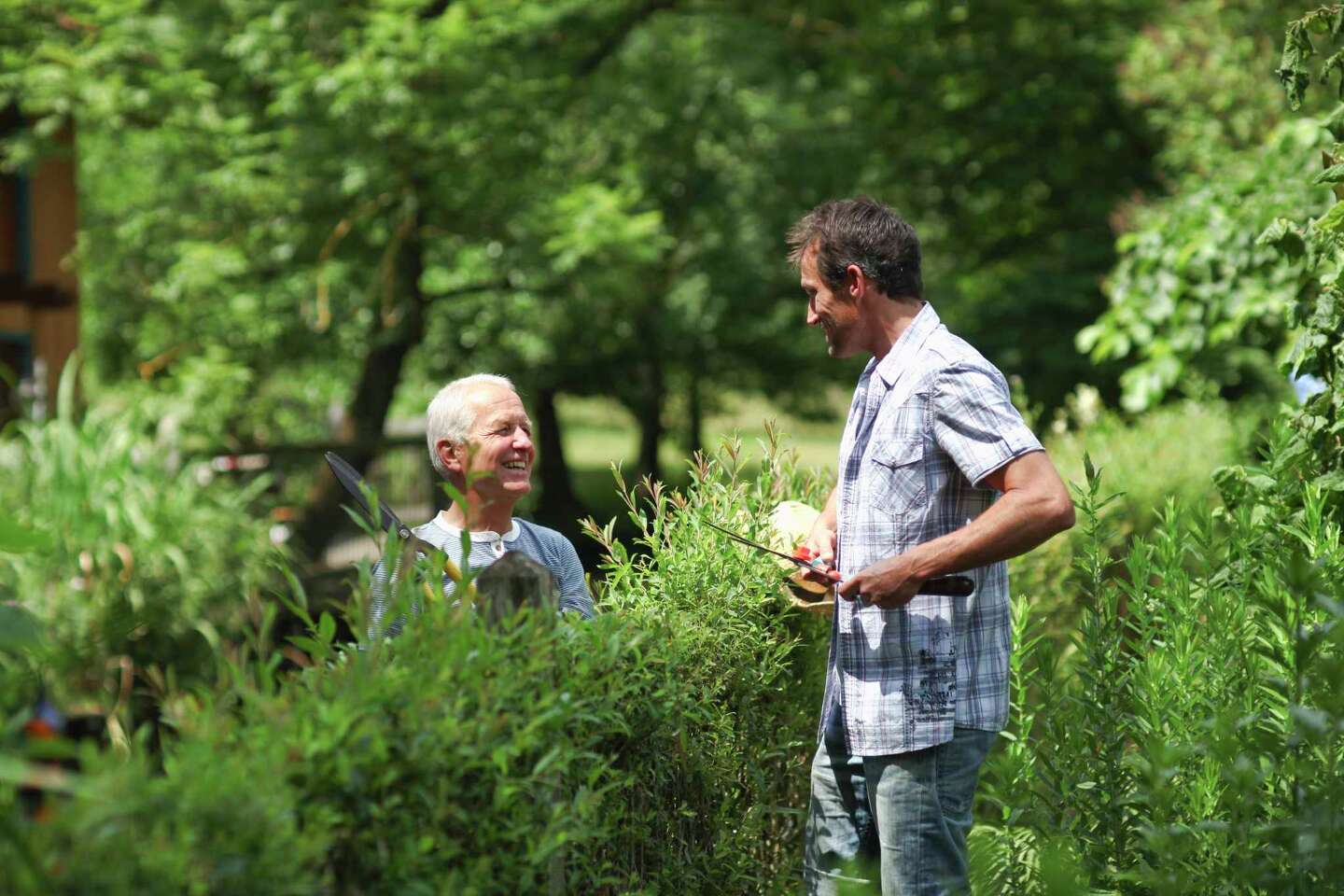 How to Make a Border Between Your Lawn and the Neighbors