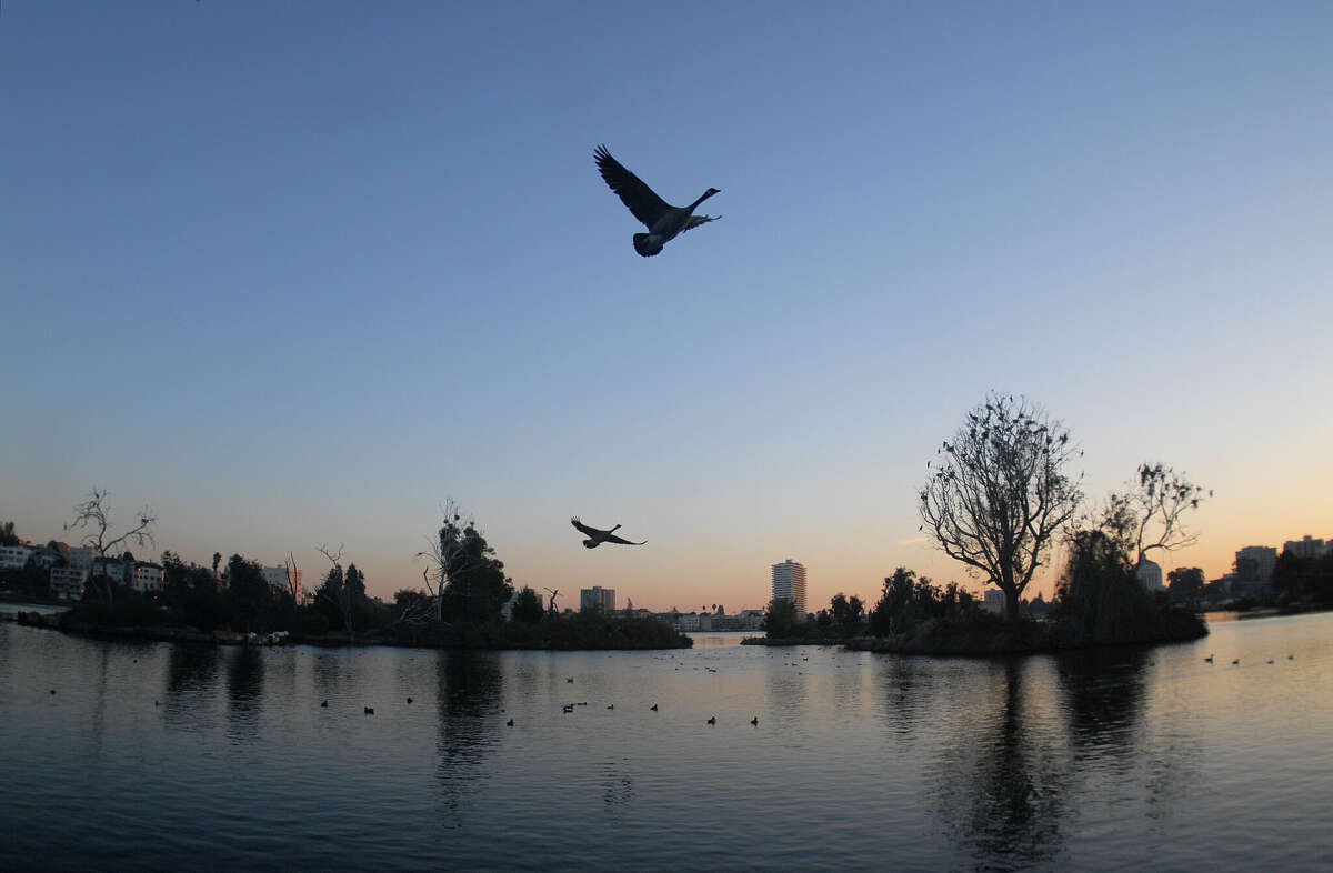 Everything to know about Lake Merritt, Oakland's urban oasis