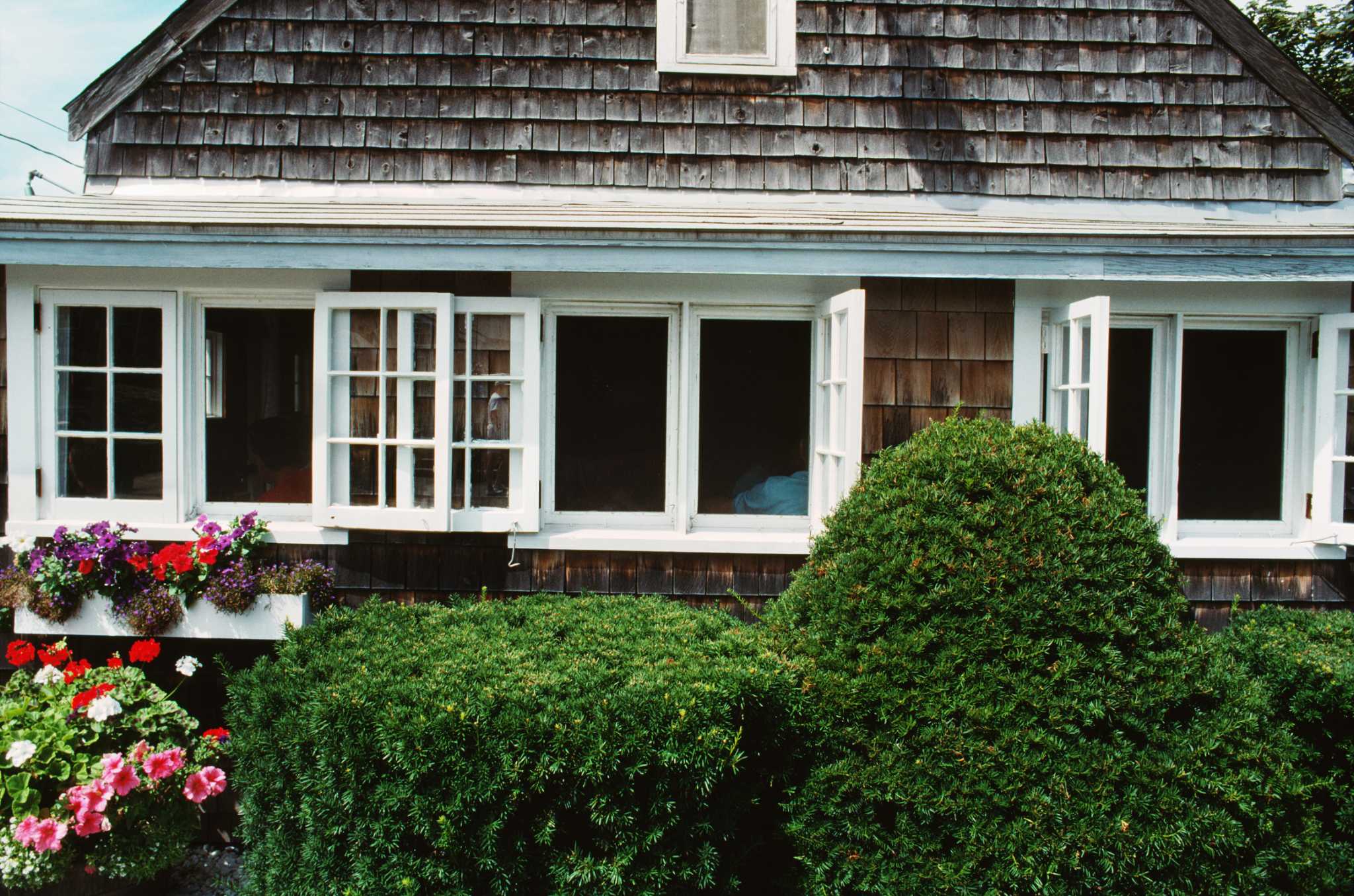 Signs & Symptoms of Evergreen Diseases