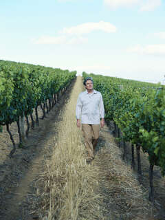 How to Make a Grape Vine Trellis From T-Posts