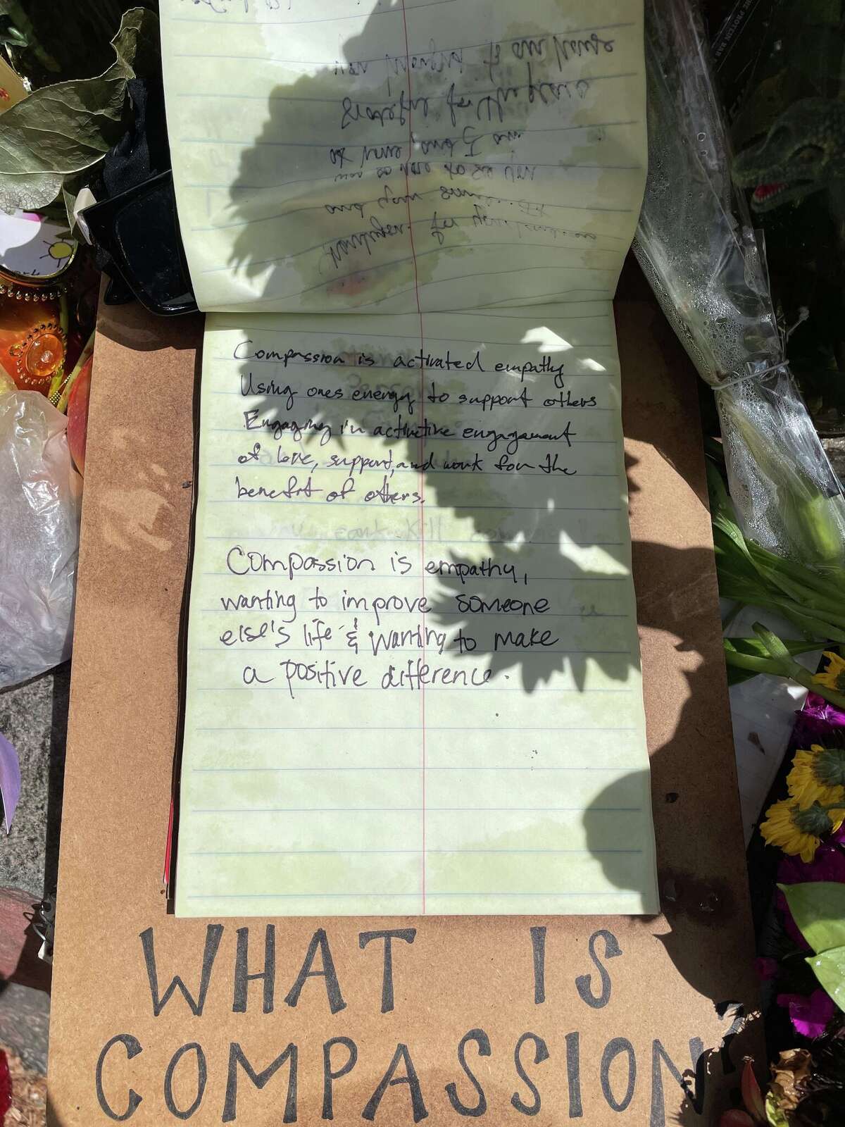 Davis stabbings: What we know about the three victims