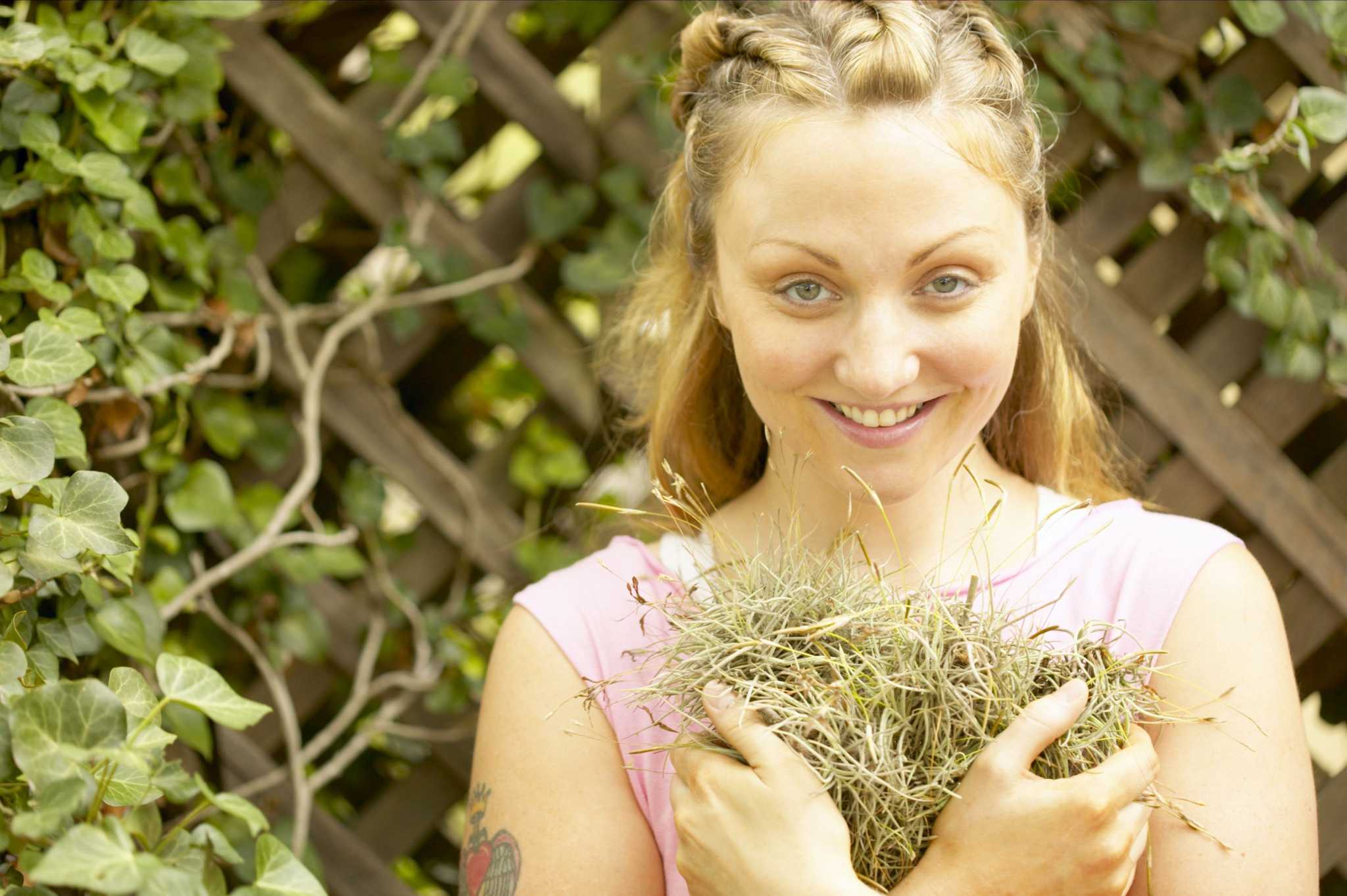 How to Make a Lattice Structure for Ivy to Grow