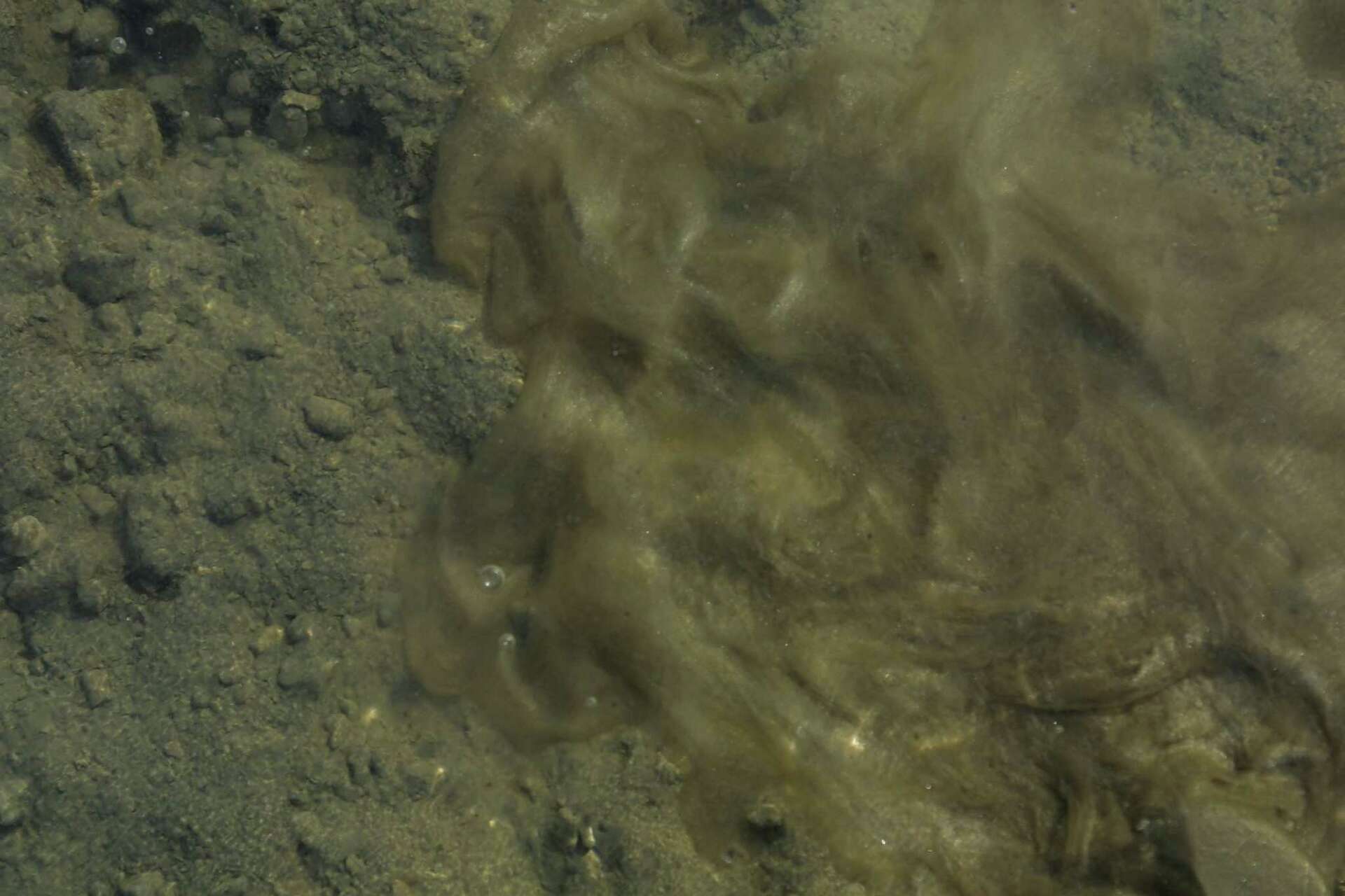 How to Make Nitrogen Fertilizer