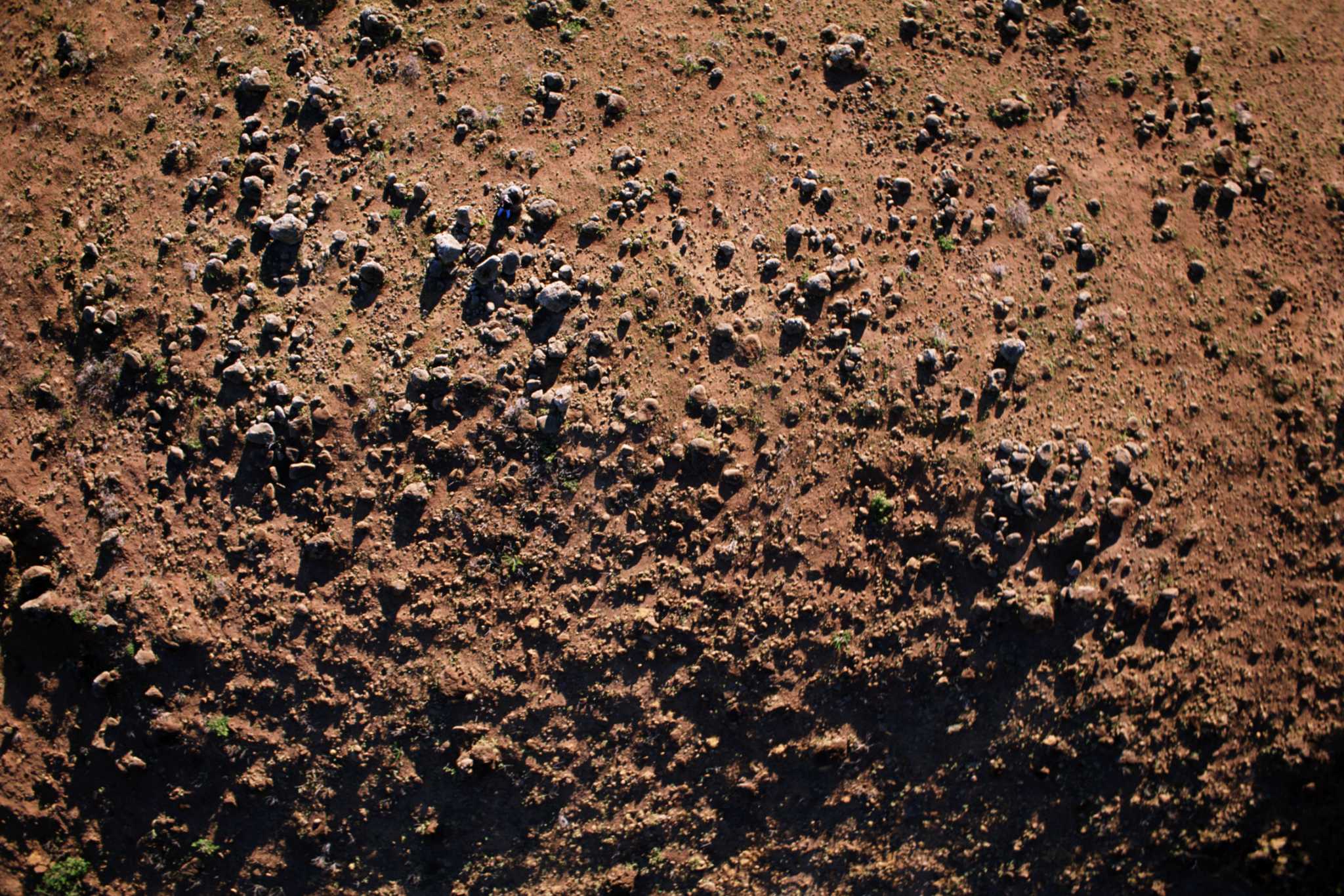 How Soil Compaction Affects the Growth of Plants