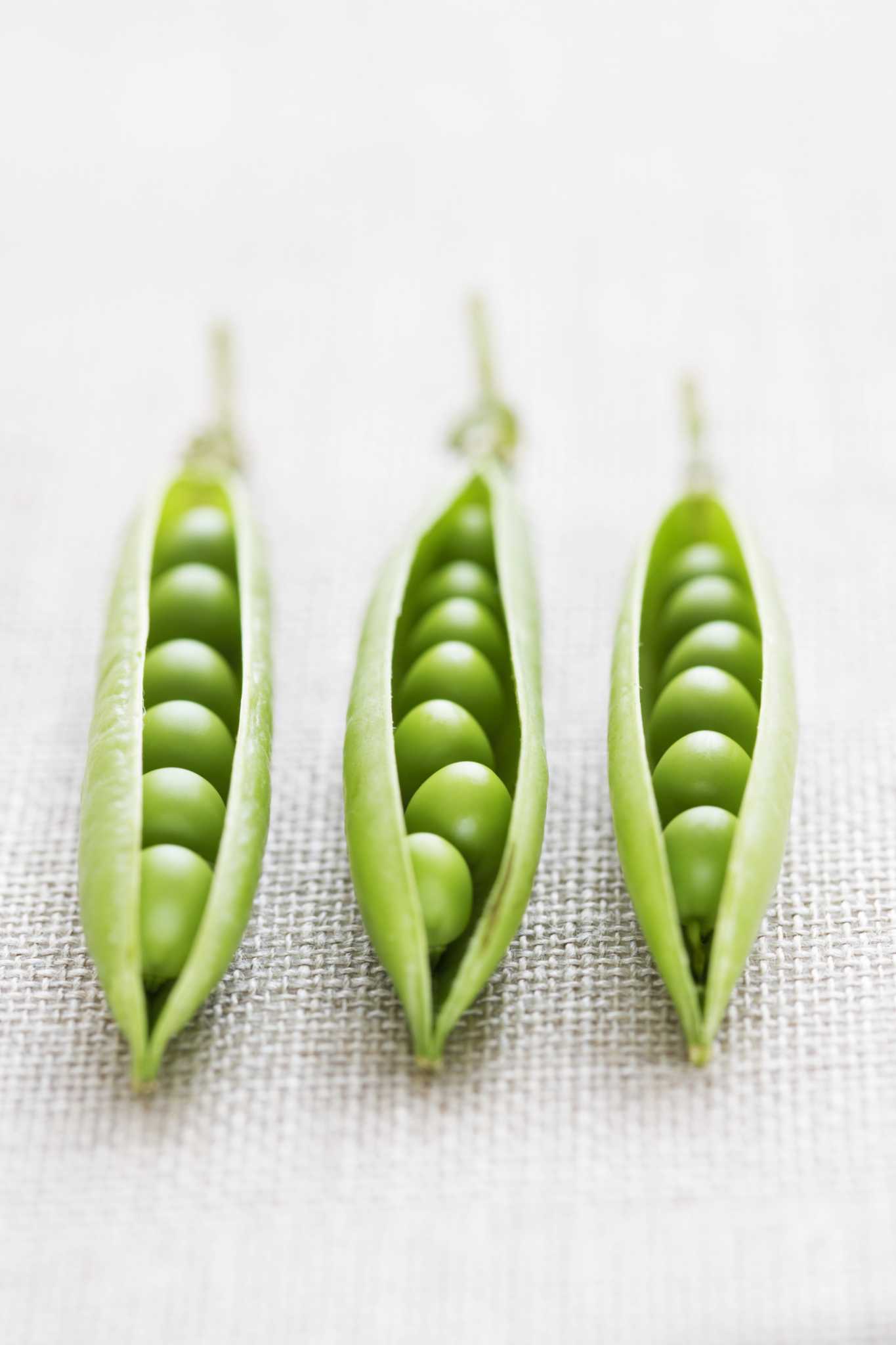 How to Make a Pea Support From Tree Branches