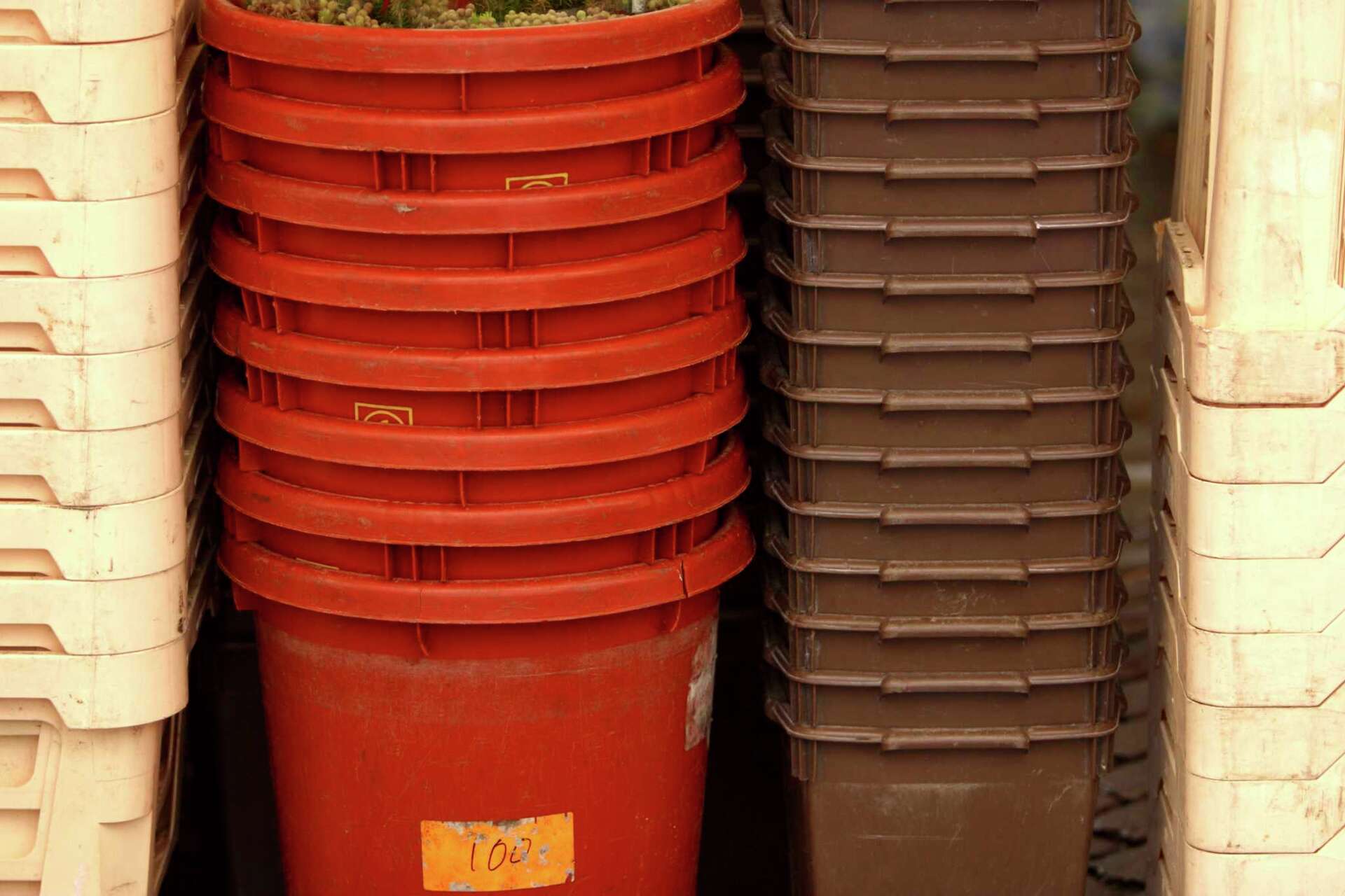 How to Make a Planter Out of a Bucket