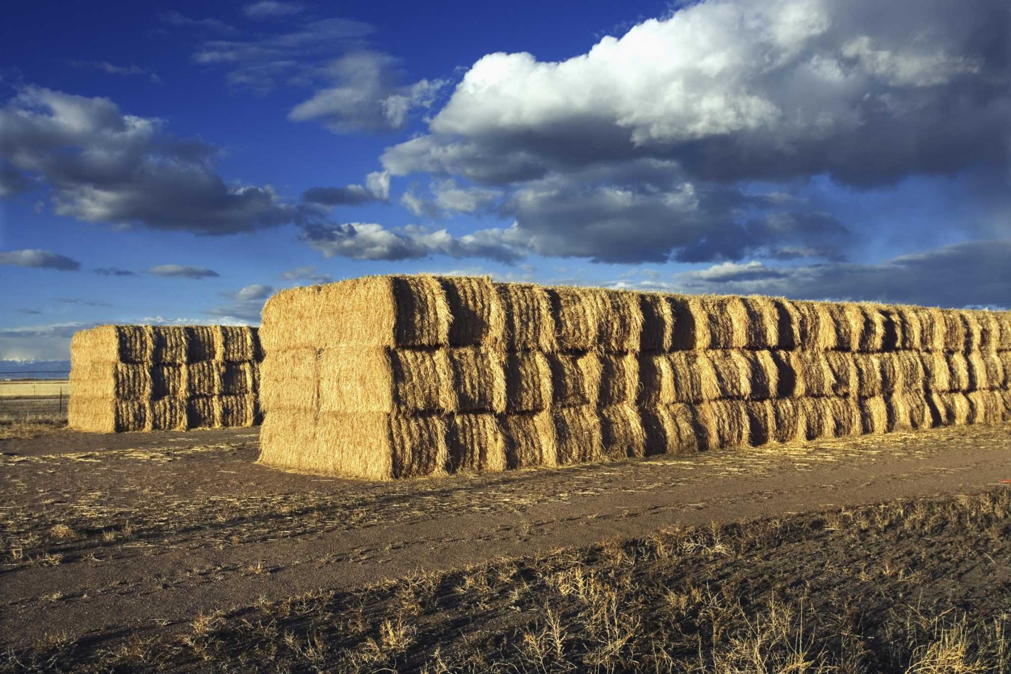 How to Make a Retaining Wall Using Straw Bales