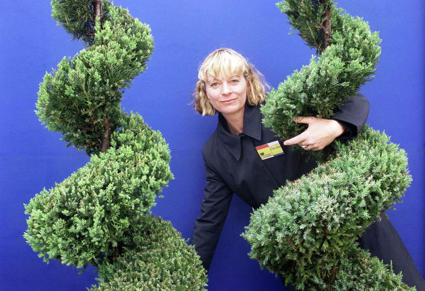 Spiral Evergreen Tree Varieties