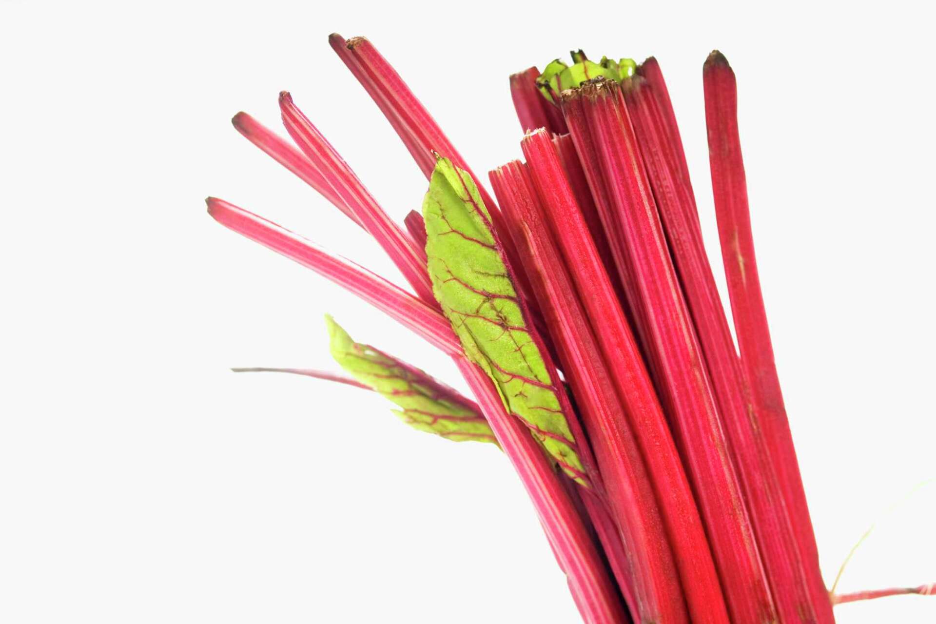 How to Plant Canadian Red Rhubarb