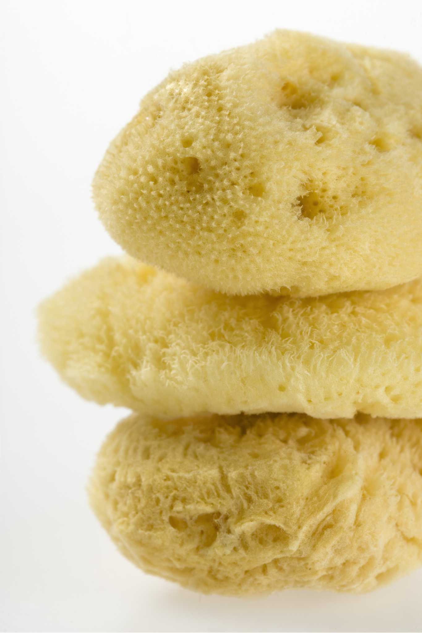 How to Sponge Paint Camouflage Patterns