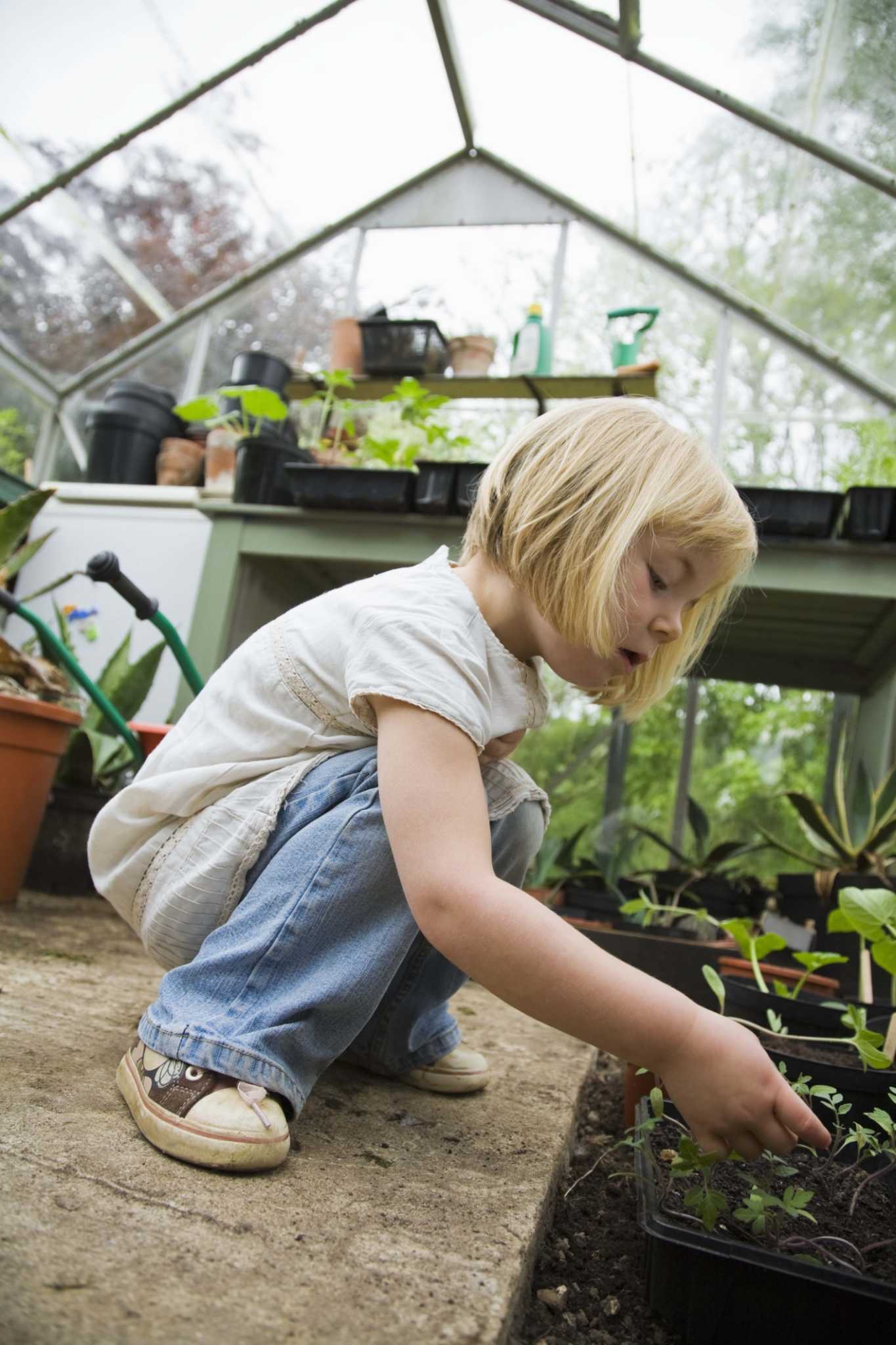 How to Make a Tree Seed Bed
