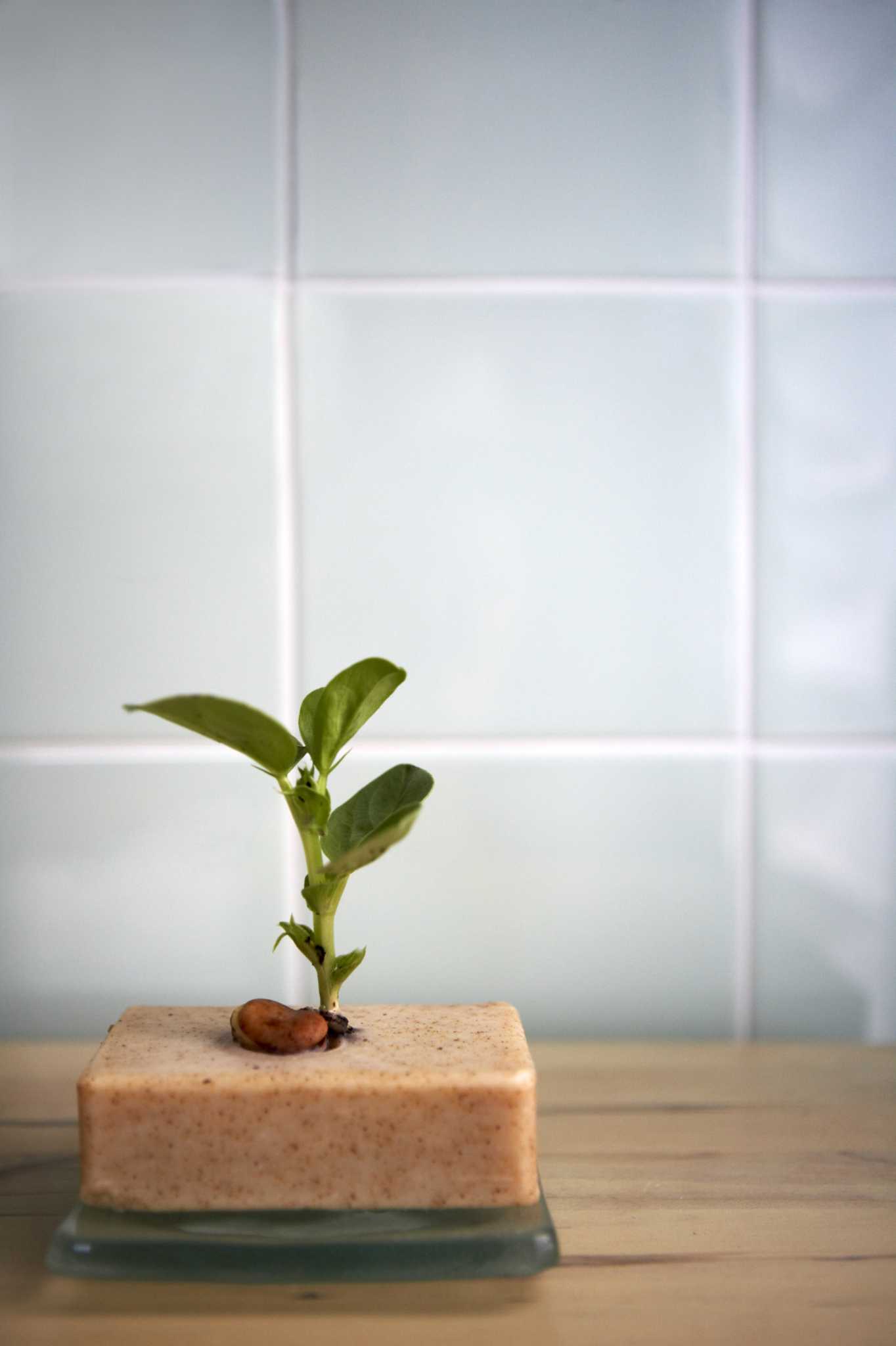 How to Make Wood Cleaning Soap
