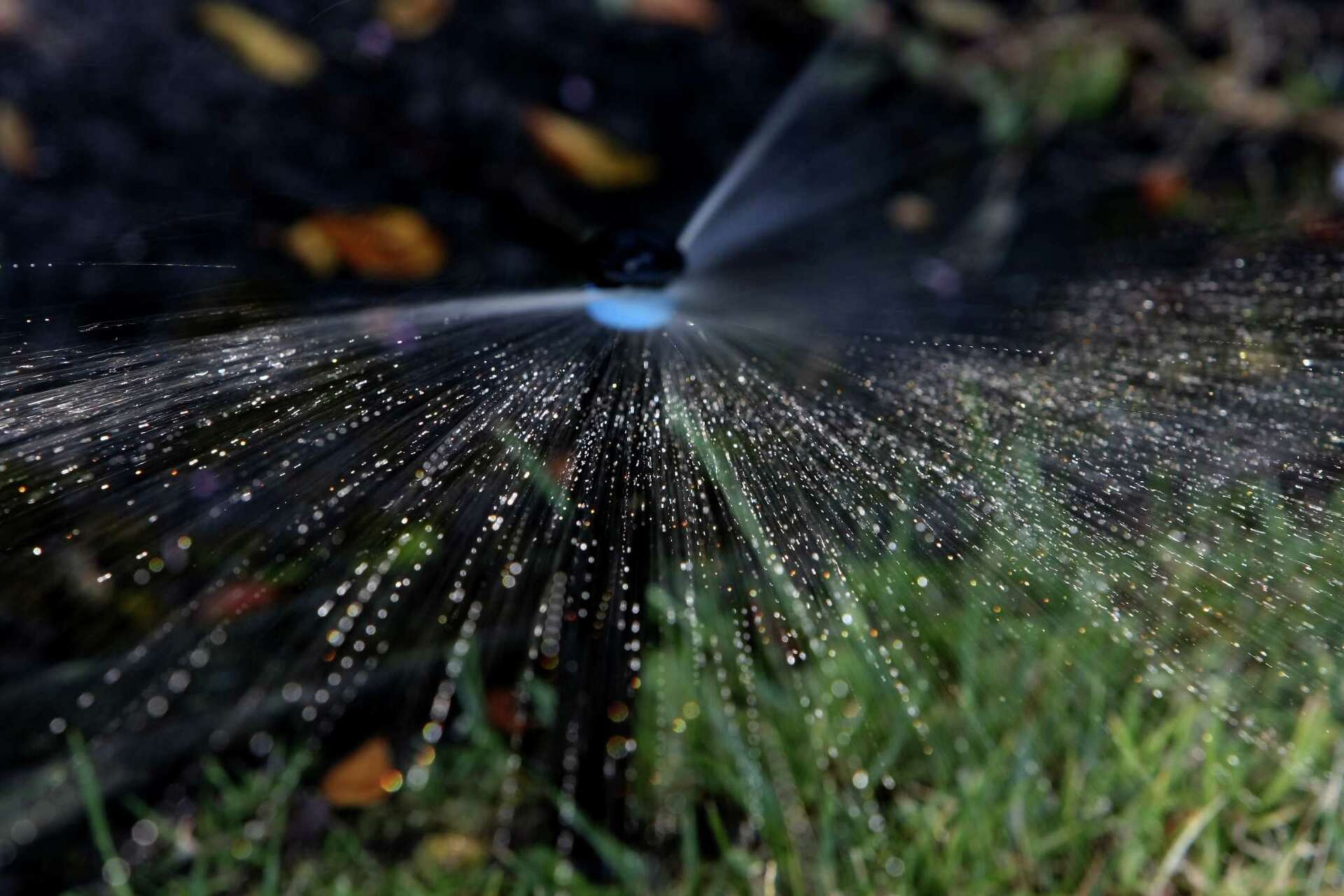 Sprinkler Systems & Wells