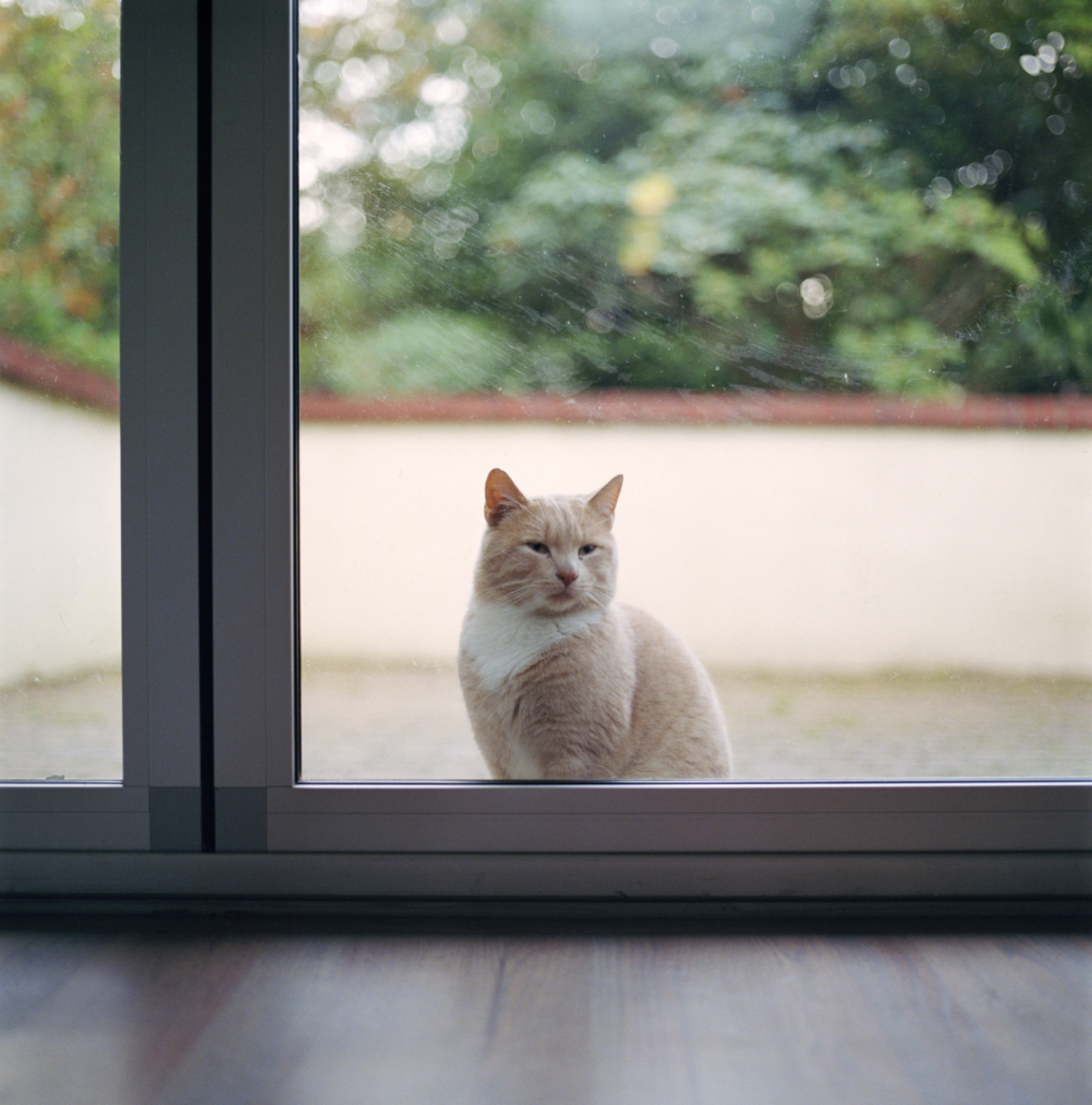 How to Weatherize a Sliding Glass Door