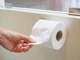 What Is the Standard Height for Toilet Paper Holders?